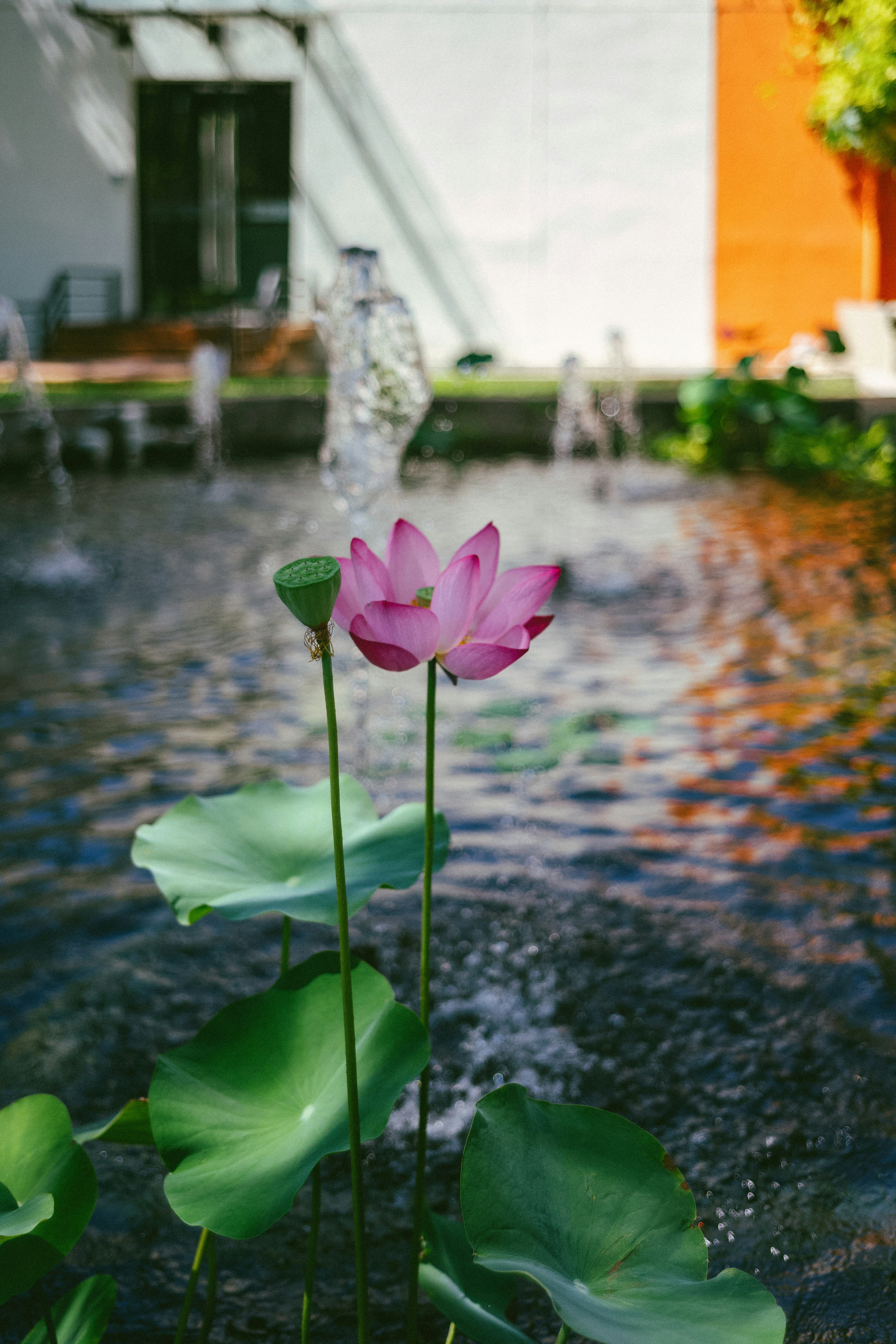 Photo by tommao wang with Leica M10-P