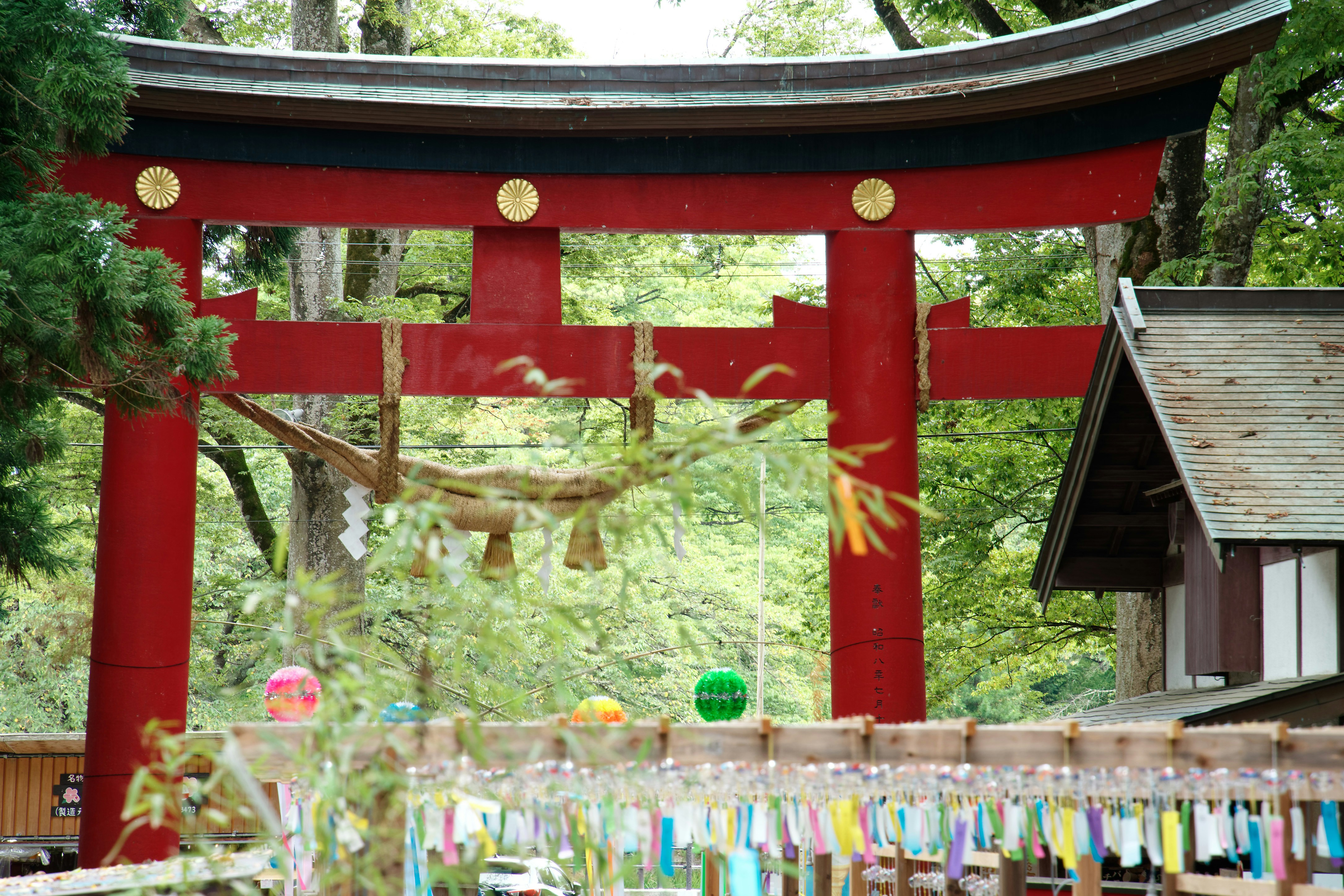 A red tori tori tori tori tori tori tori tori tori tori tori tori tori ...