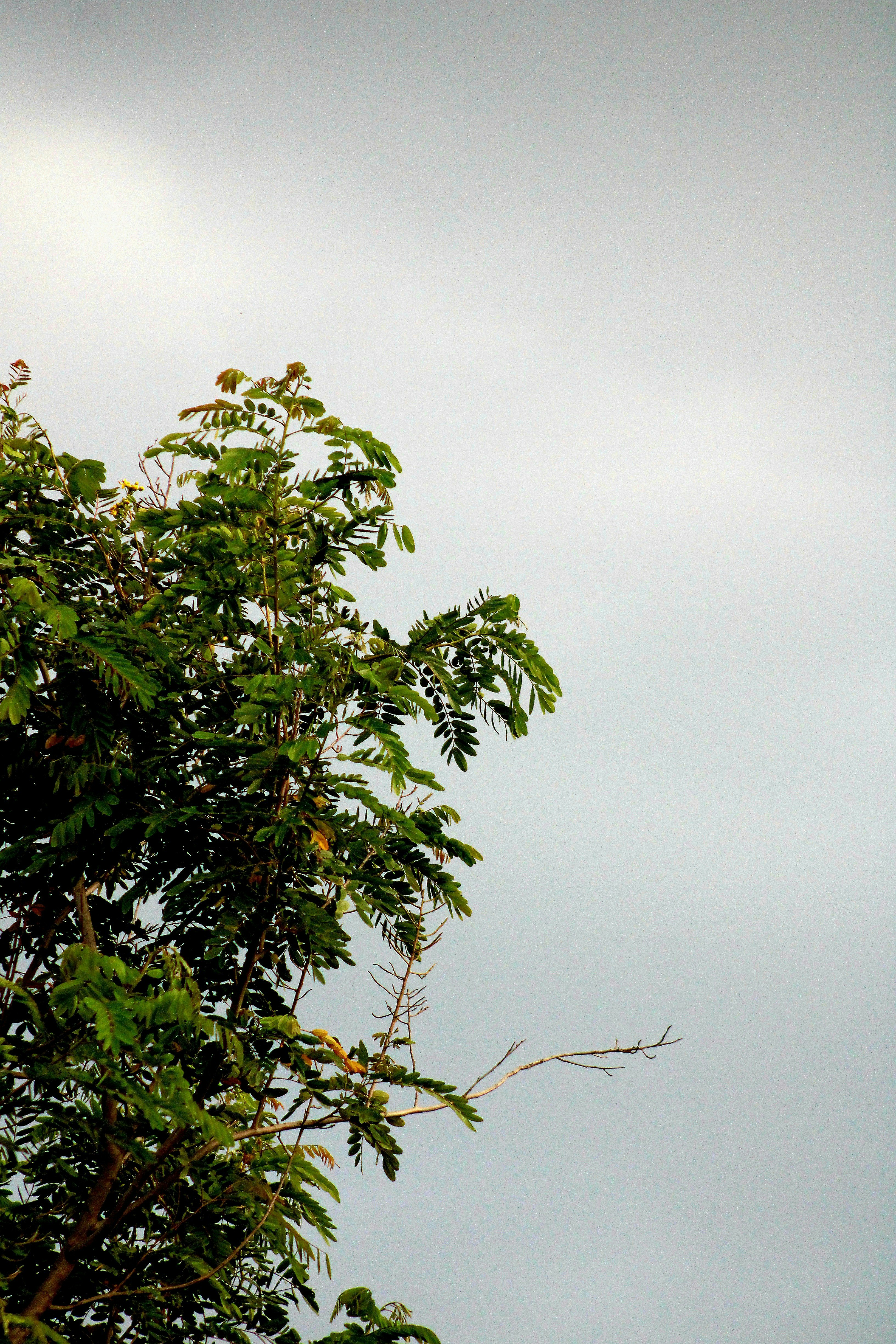 Photo by Kailash Maratha with Canon EOS 2000D