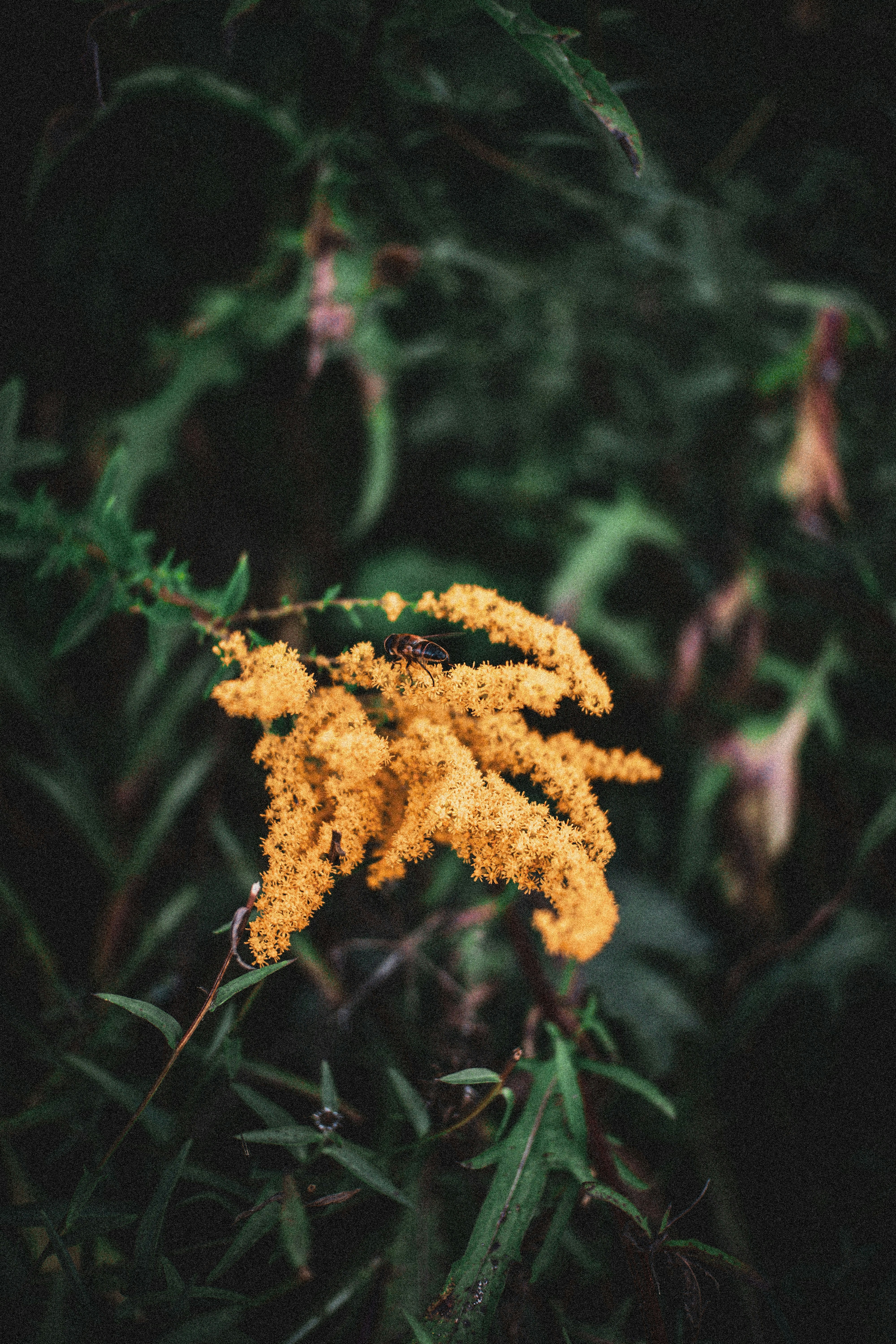 Photo by Flaviu Costin with Canon EOS R50