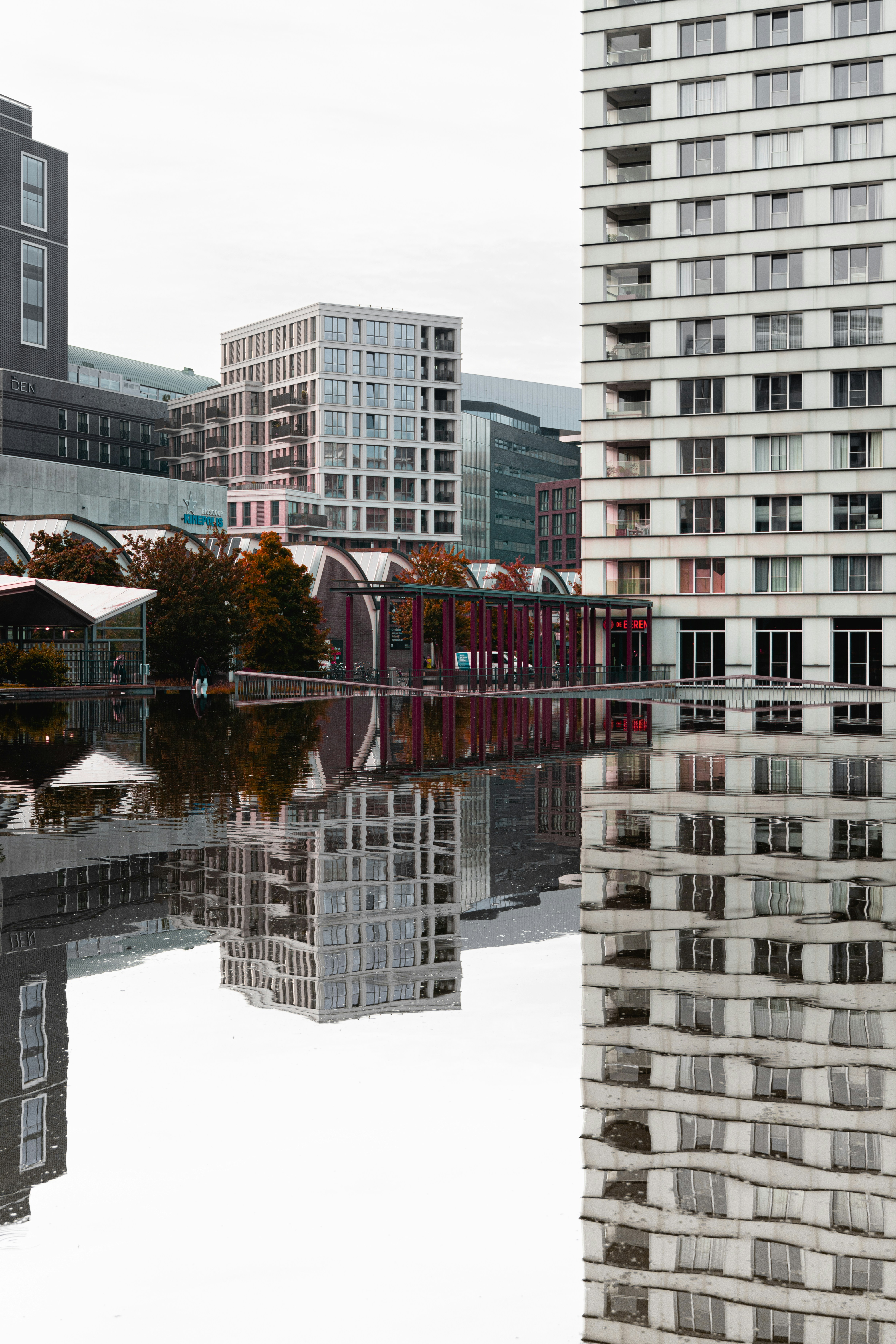 Echoes in Glass: Reflections Across a Quiet Urban Waterfront