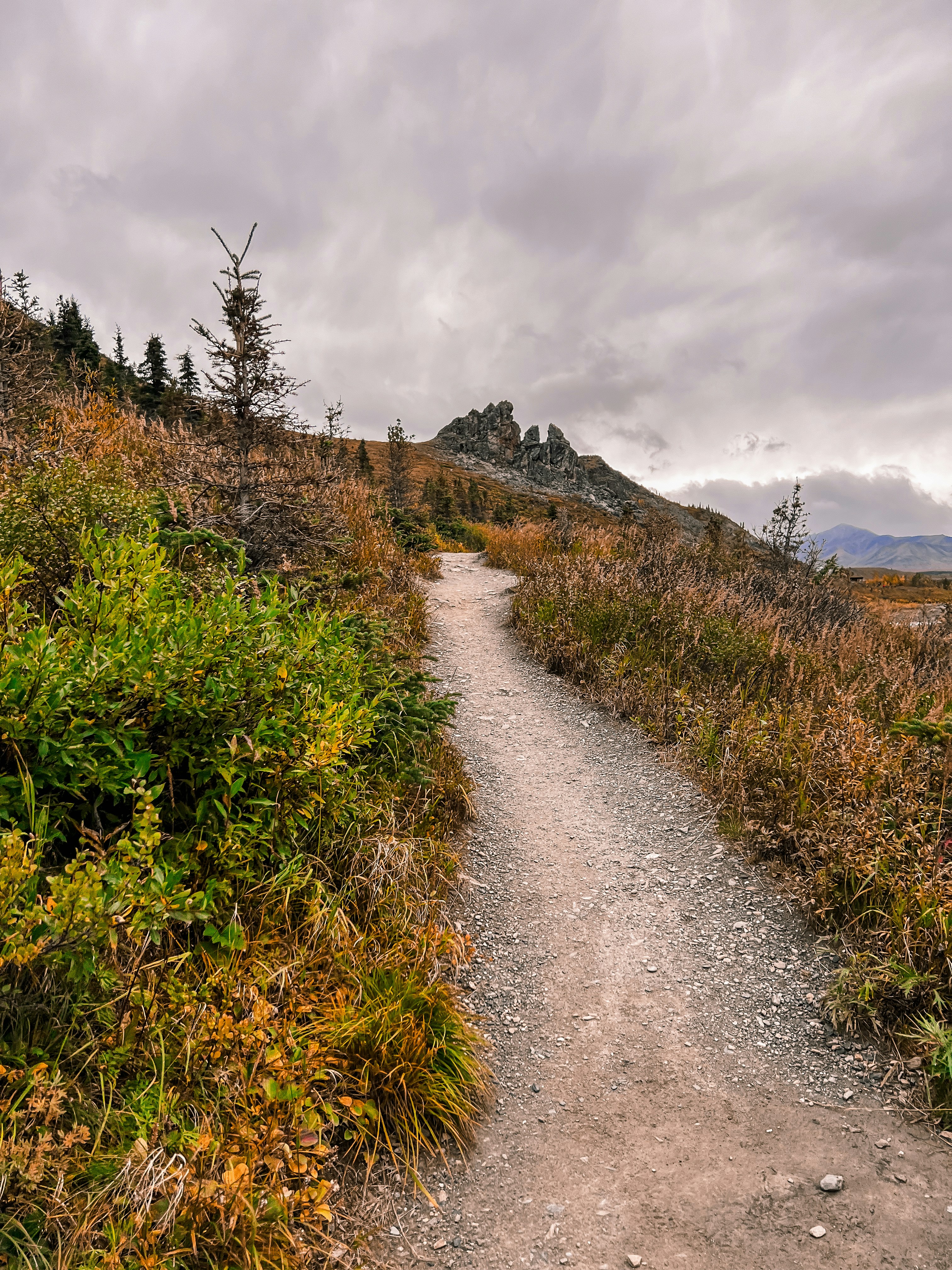 A trail winds through a grassy area on a cloudy day photo – Free Trail ...