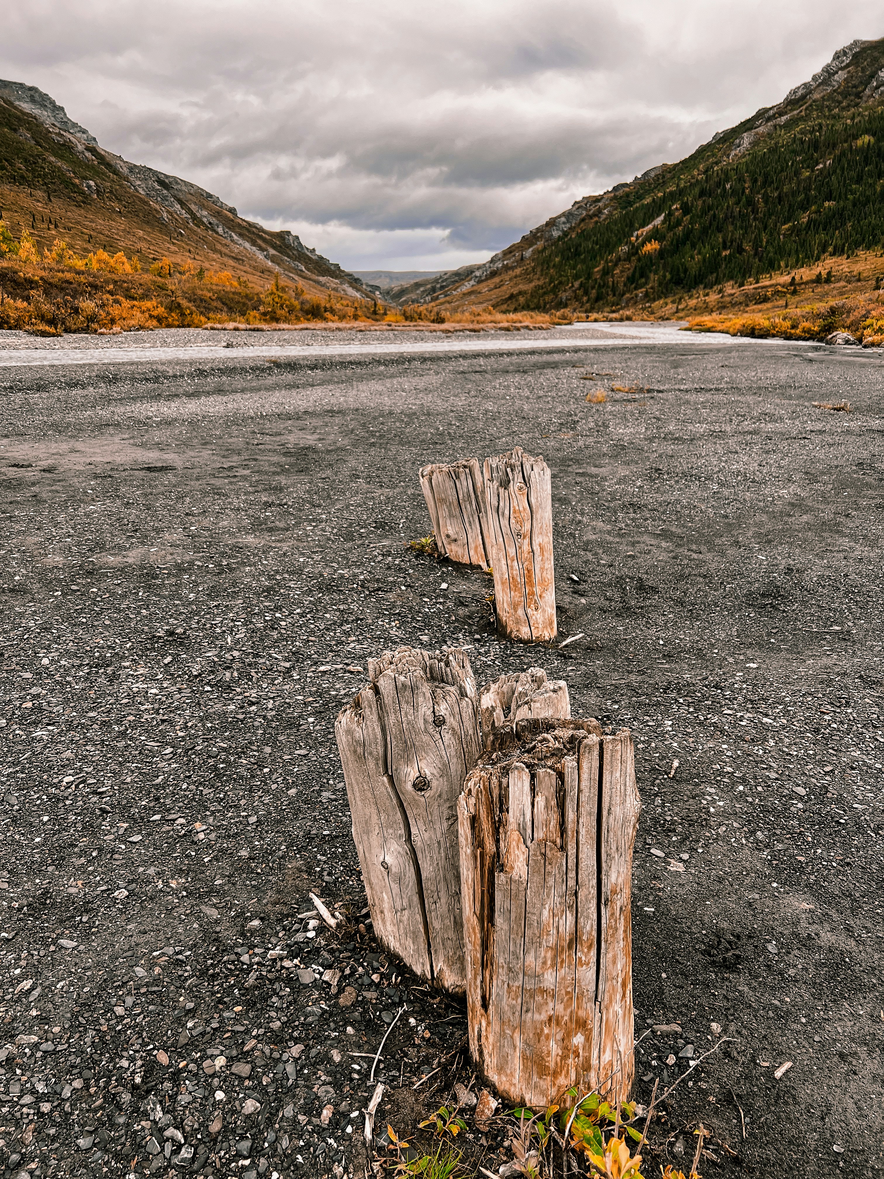 Weathered Staves in a Glacier Plain