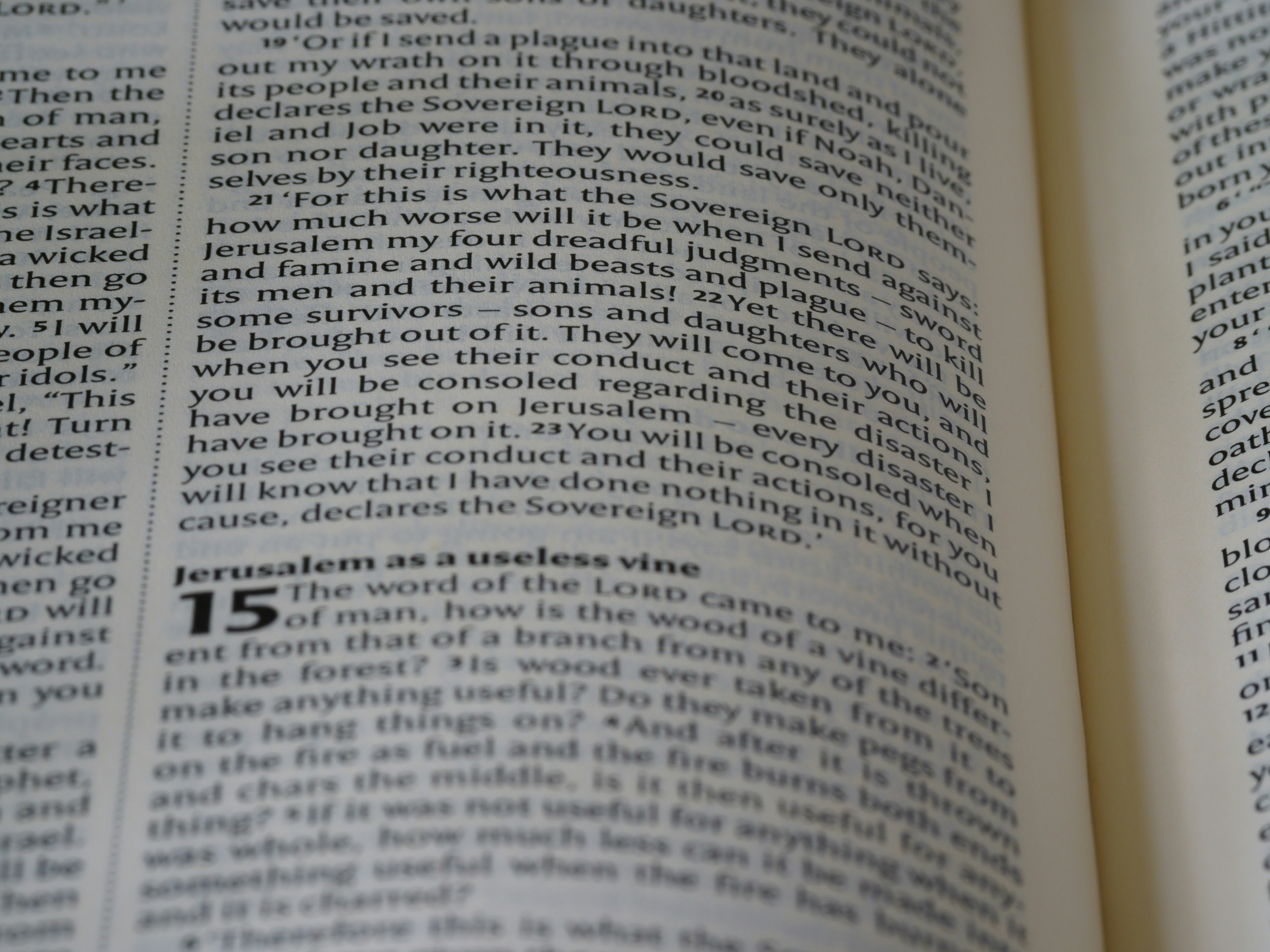 A close up of an open book with words on it photo – Free Publication ...