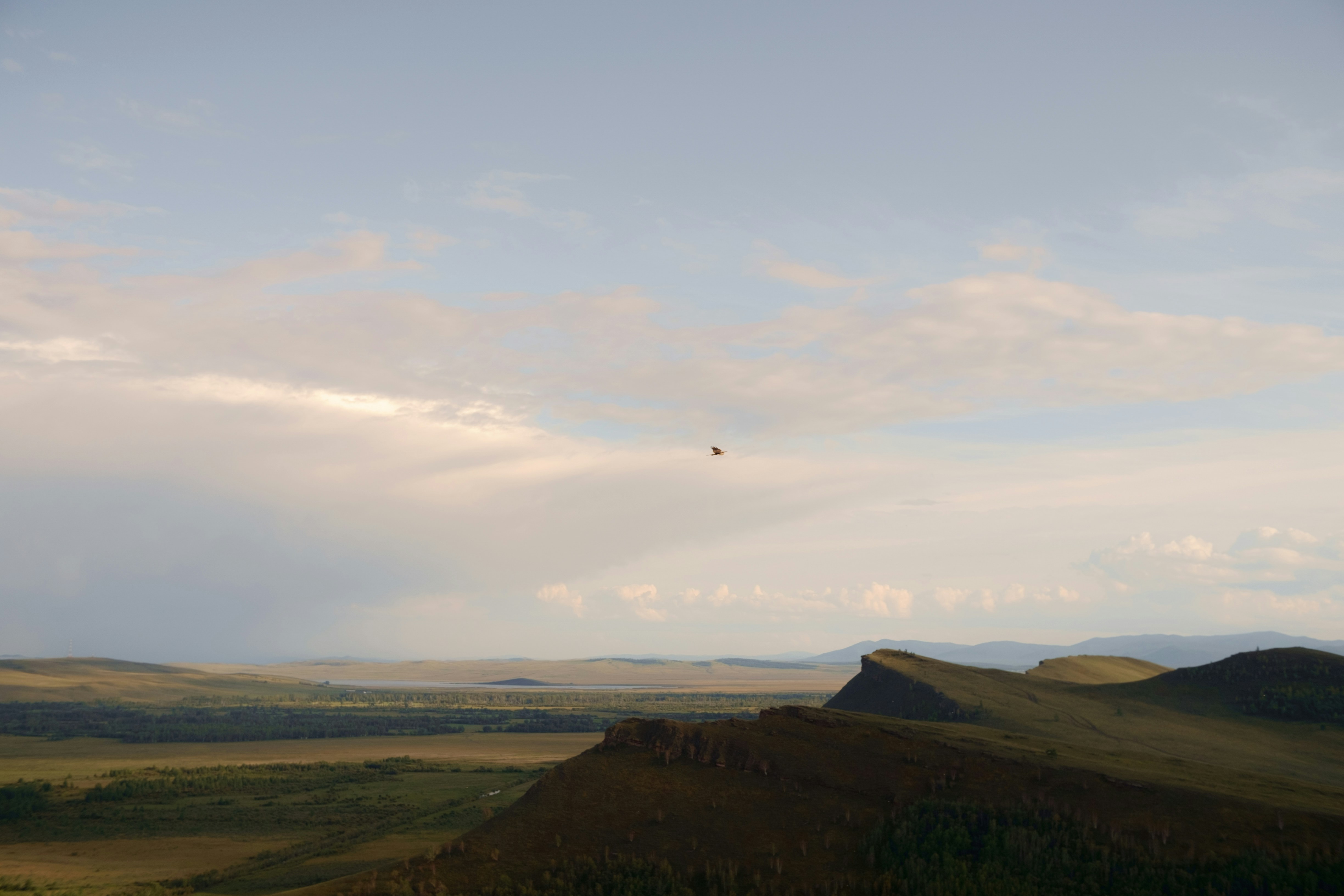A lone bird flying over a mountain range photo – Free Nature Image on ...