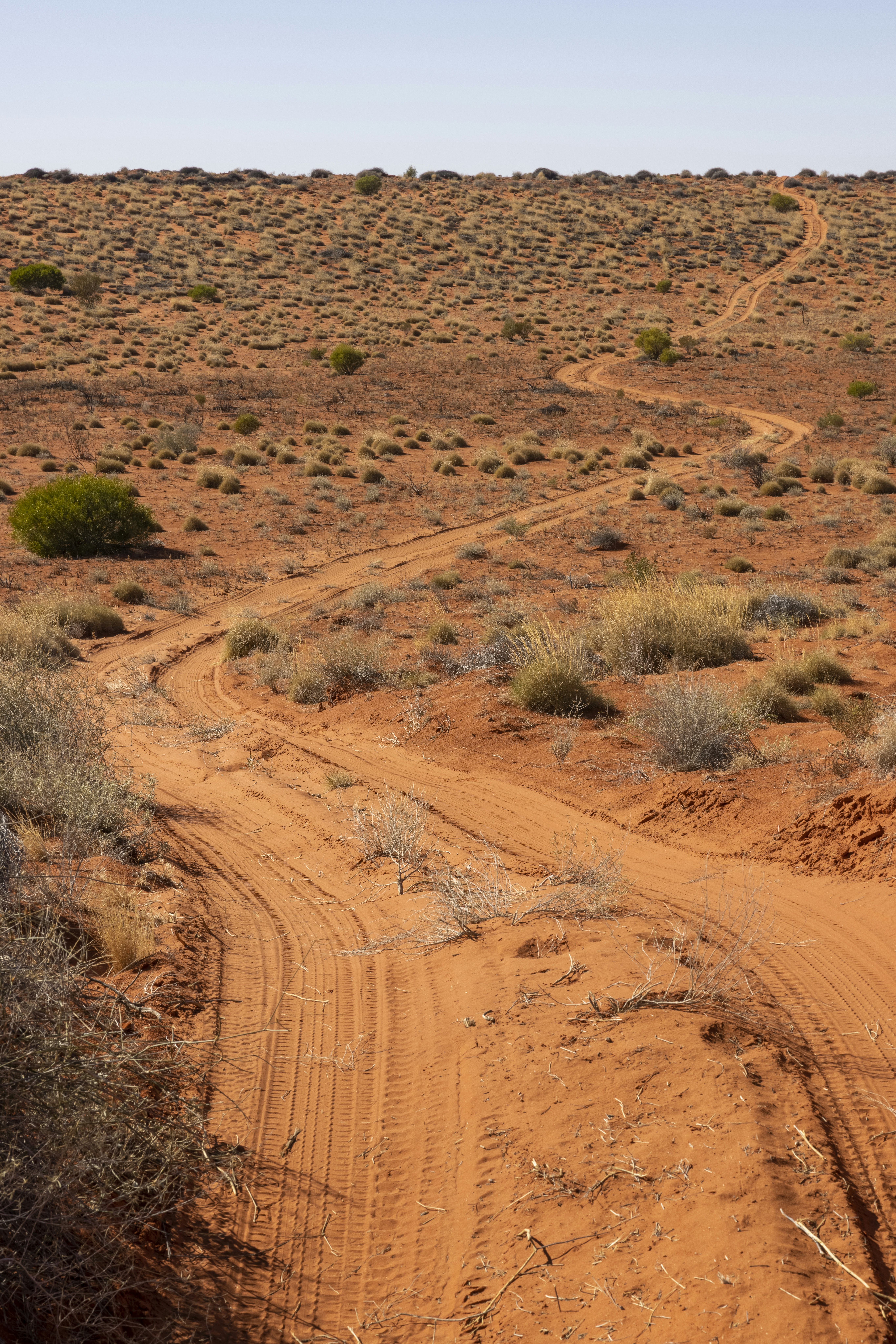 Un chemin de terre au milieu d’un désert photo – Photo Désert de ...