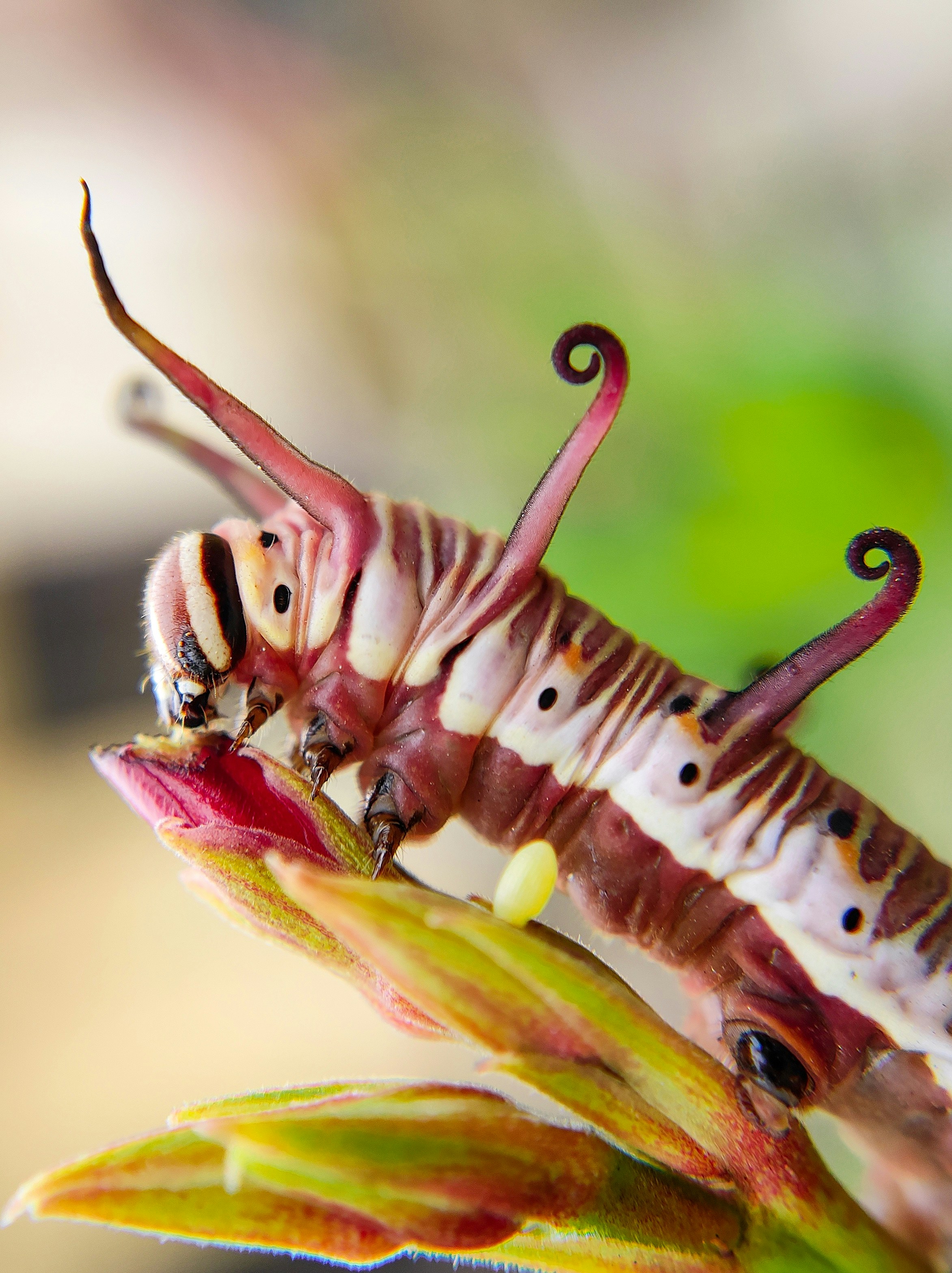 Photo by Shyamli Kashyap with Redmi Note 10 Pro