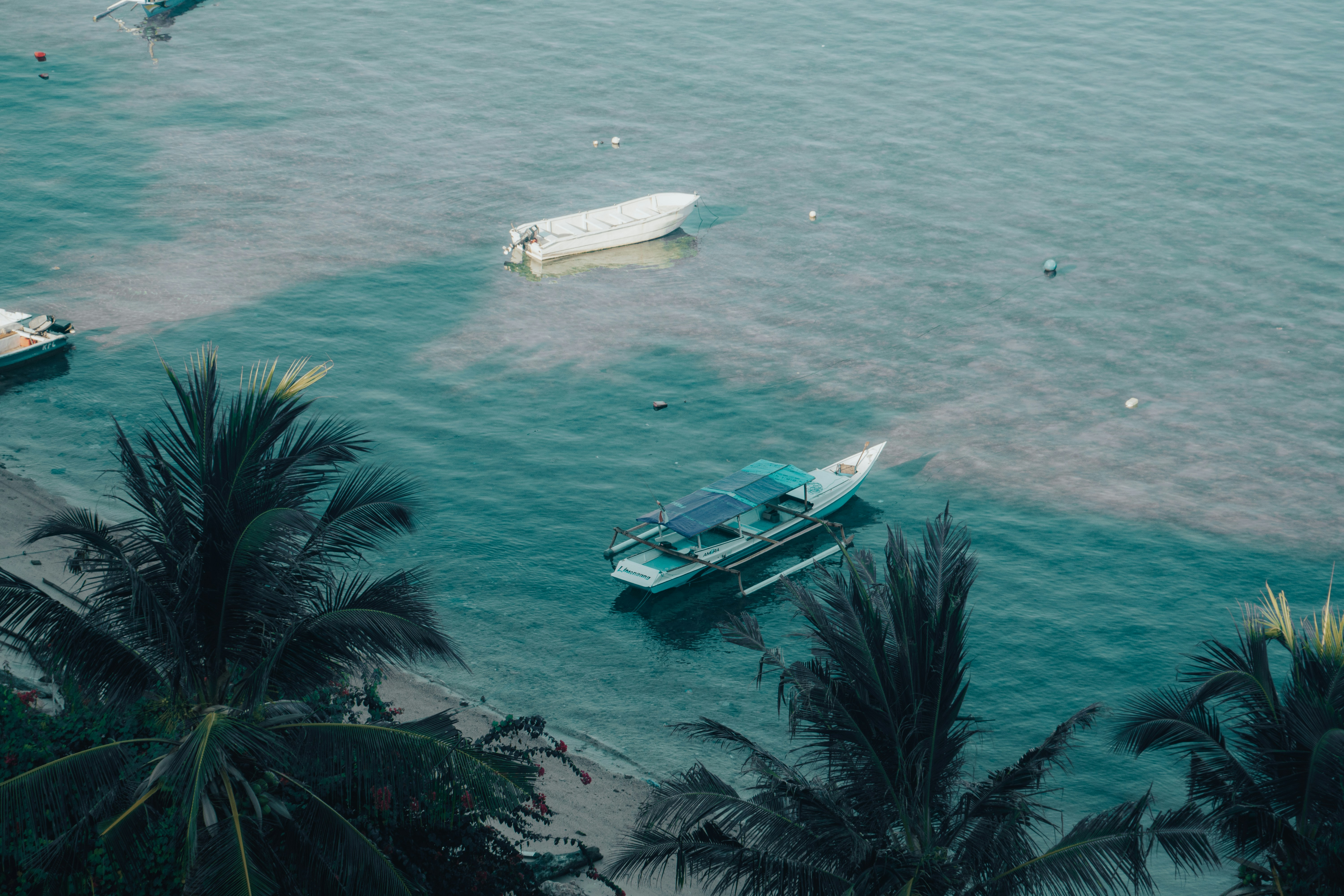 Turquoise Tide: An Aerial Moment of Boats and Palms by the Shore