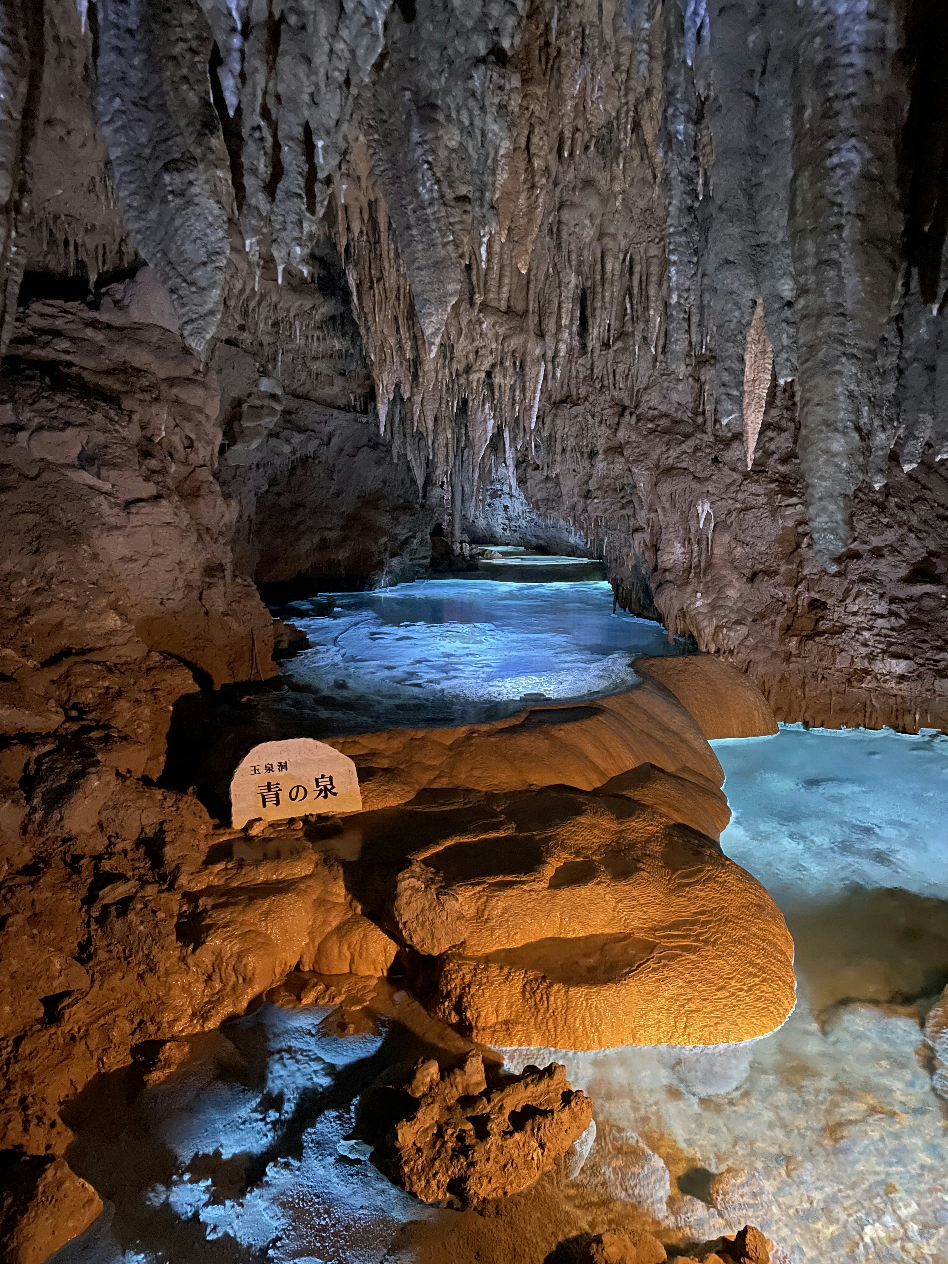 Gordon Fang (@pangolin_0409) | Unsplash Photo Community