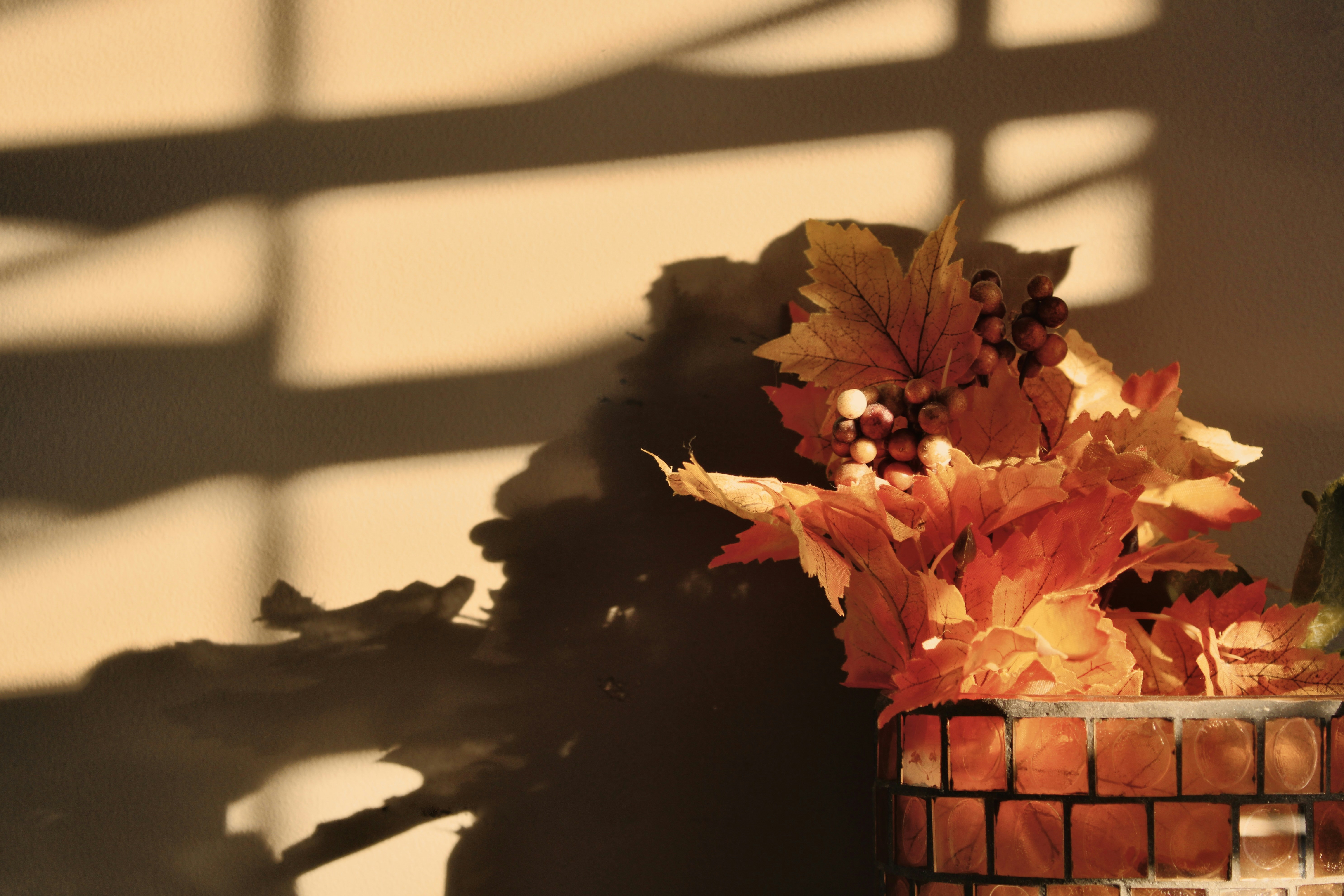Sunlit Autumn Leaves in a Brick Basket Cast by Window Shadows
