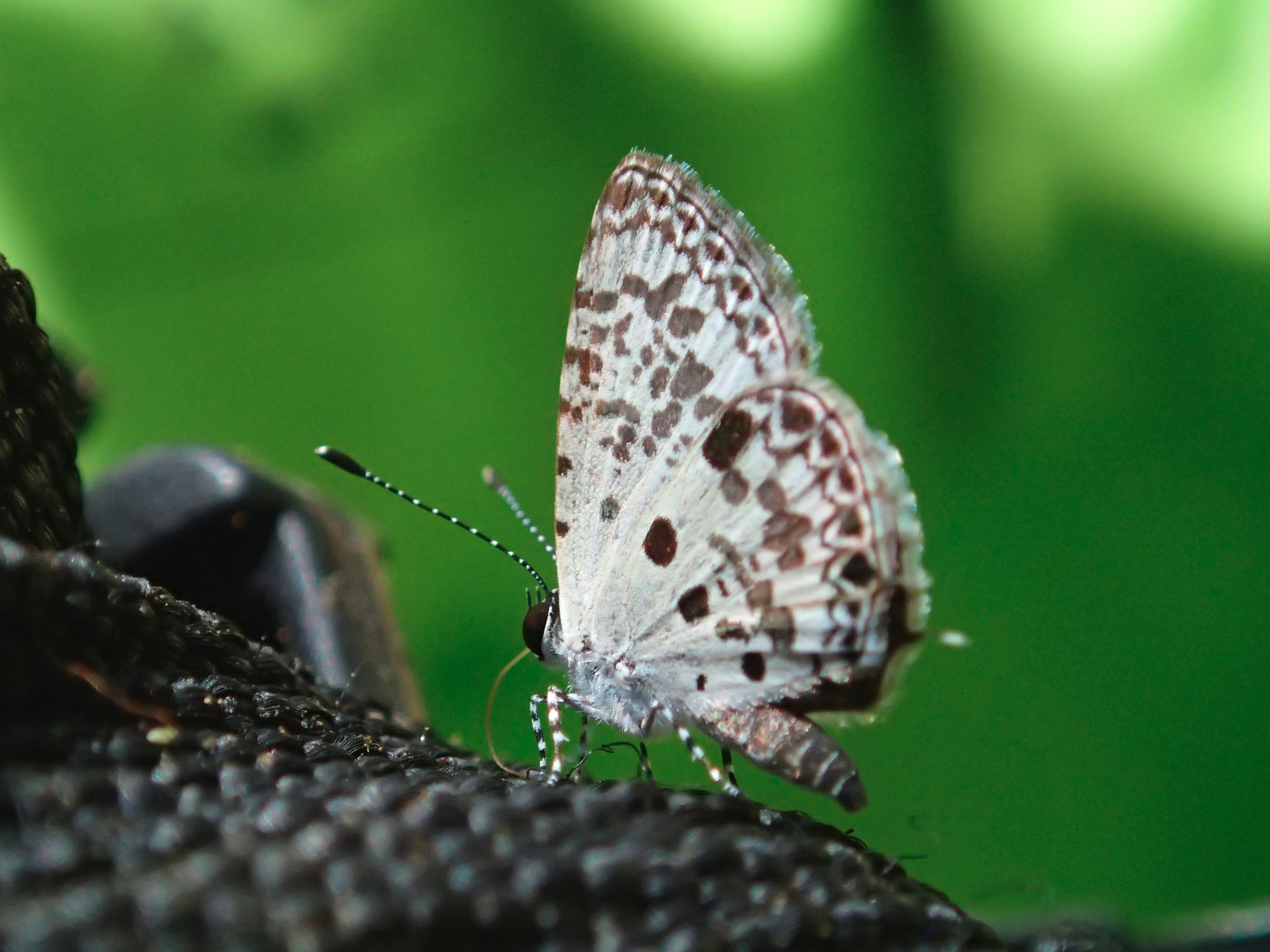 Photo by lionel mermoz with Olympus Tough TG-2