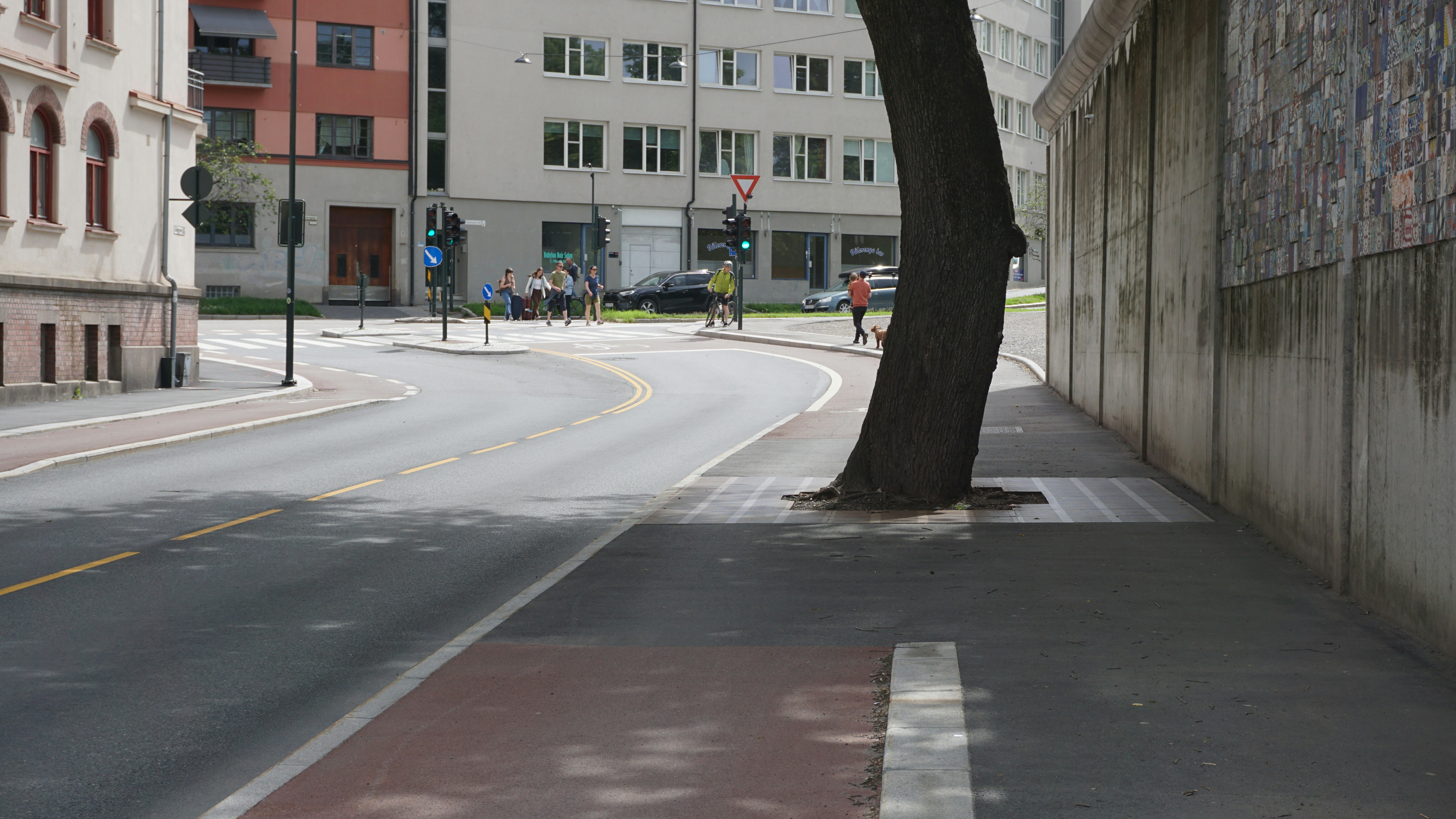 Urban Curve: The Leaning Tree Framing a Quiet City Street