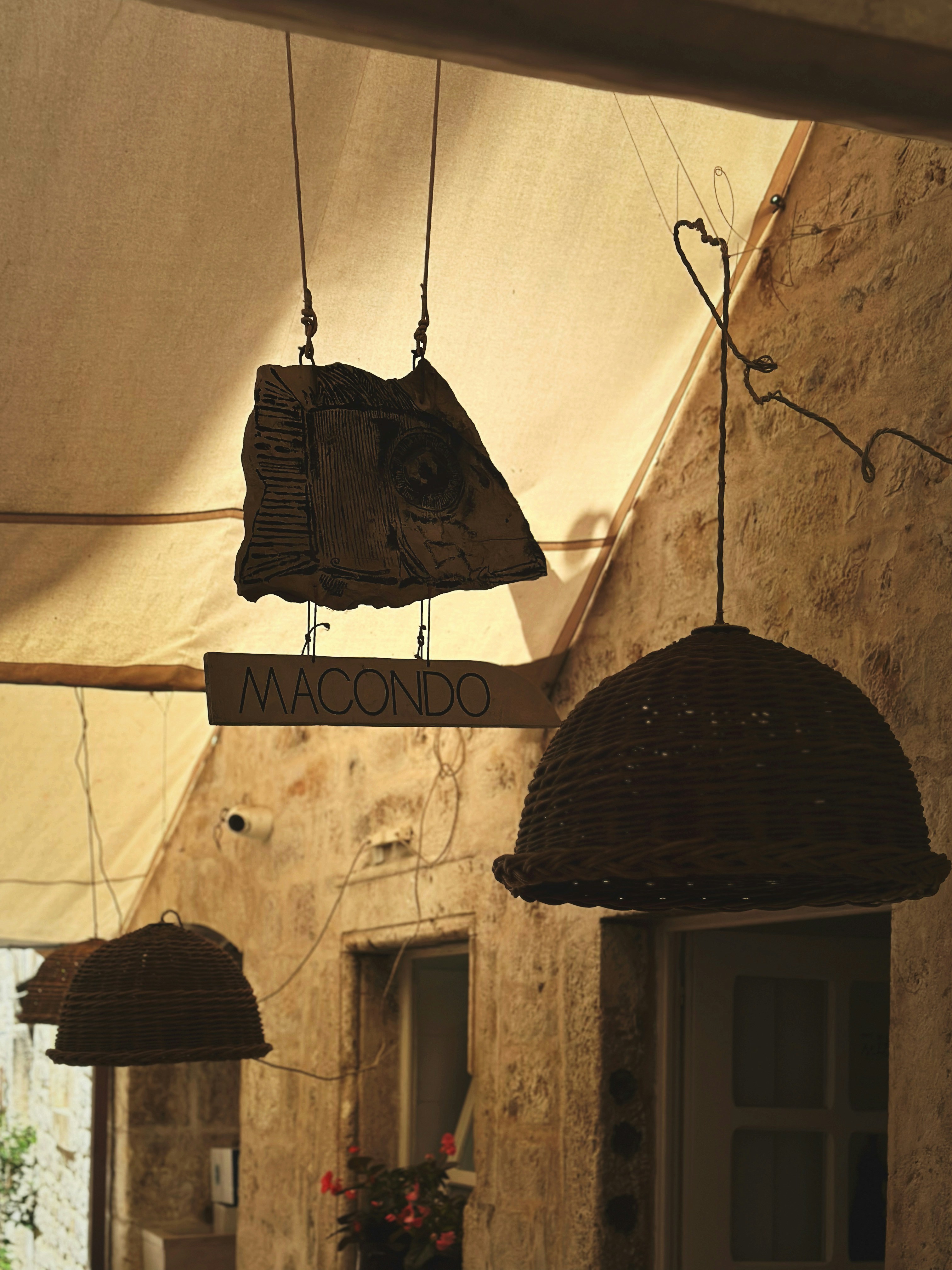 A group of hanging items in a room photo – Free Flower Image on Unsplash