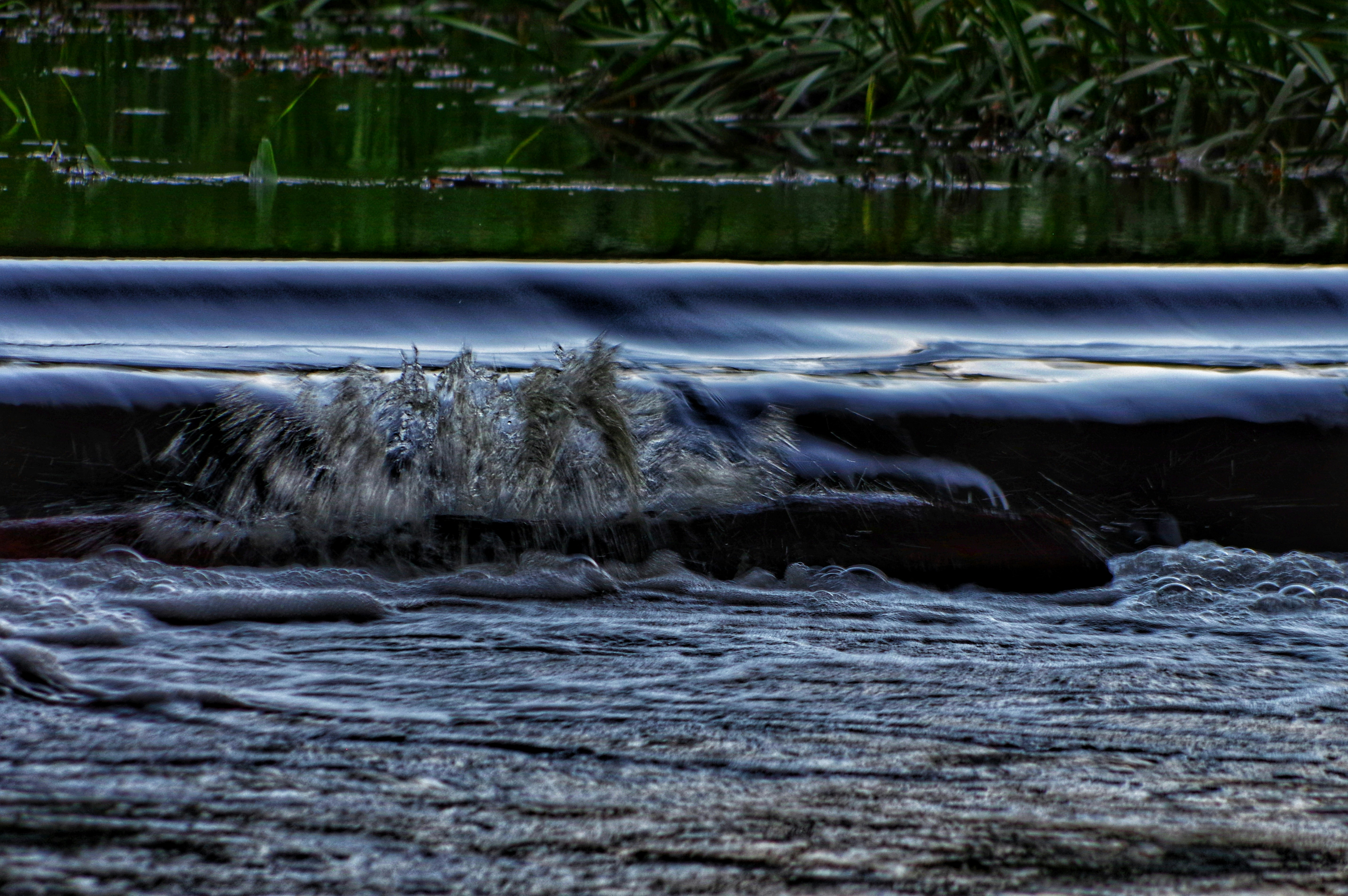 Silky Surge in a Shadowed River