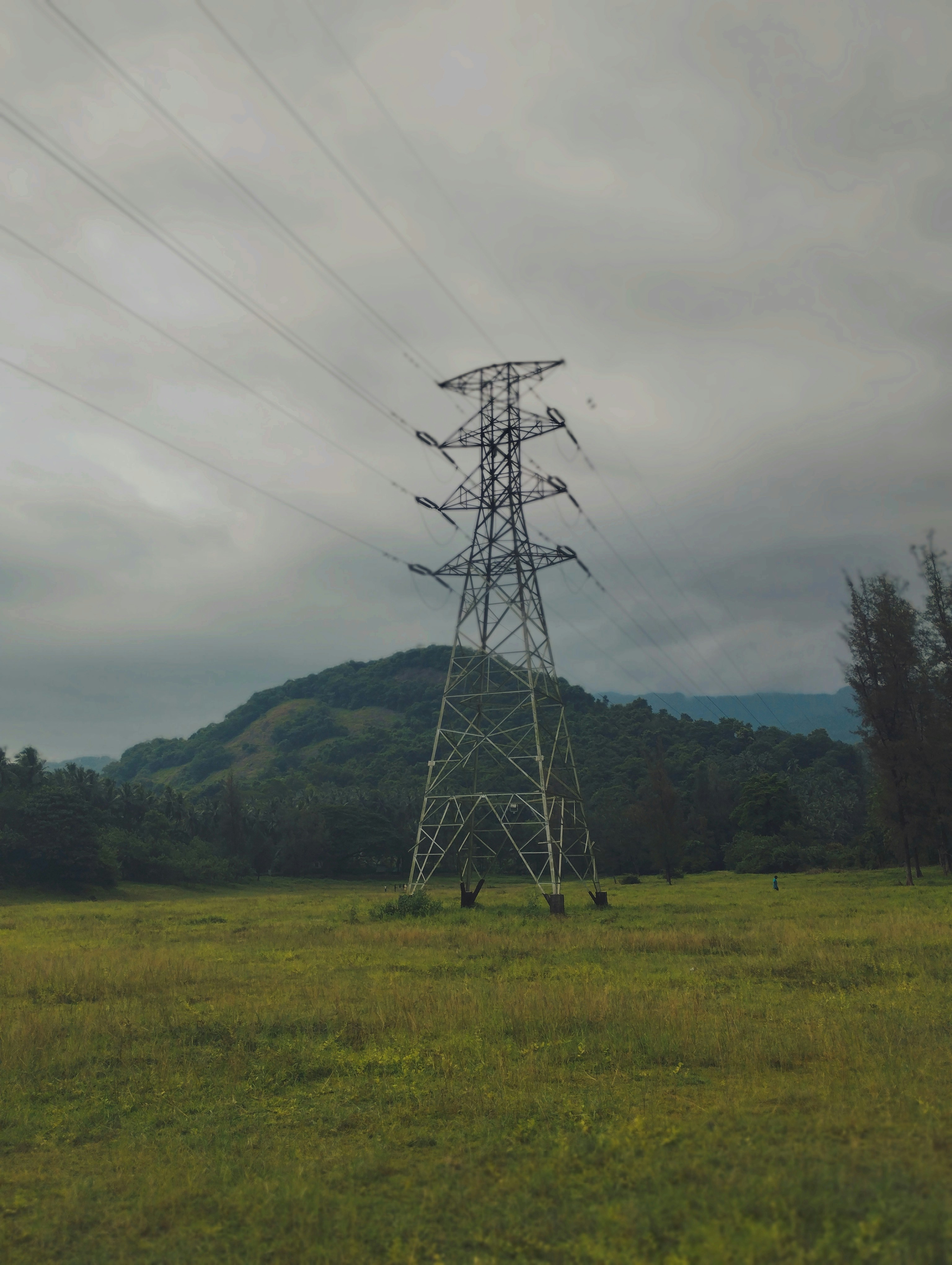 The Lattice Sentinel: A Lone Transmission Tower Across the Meadow