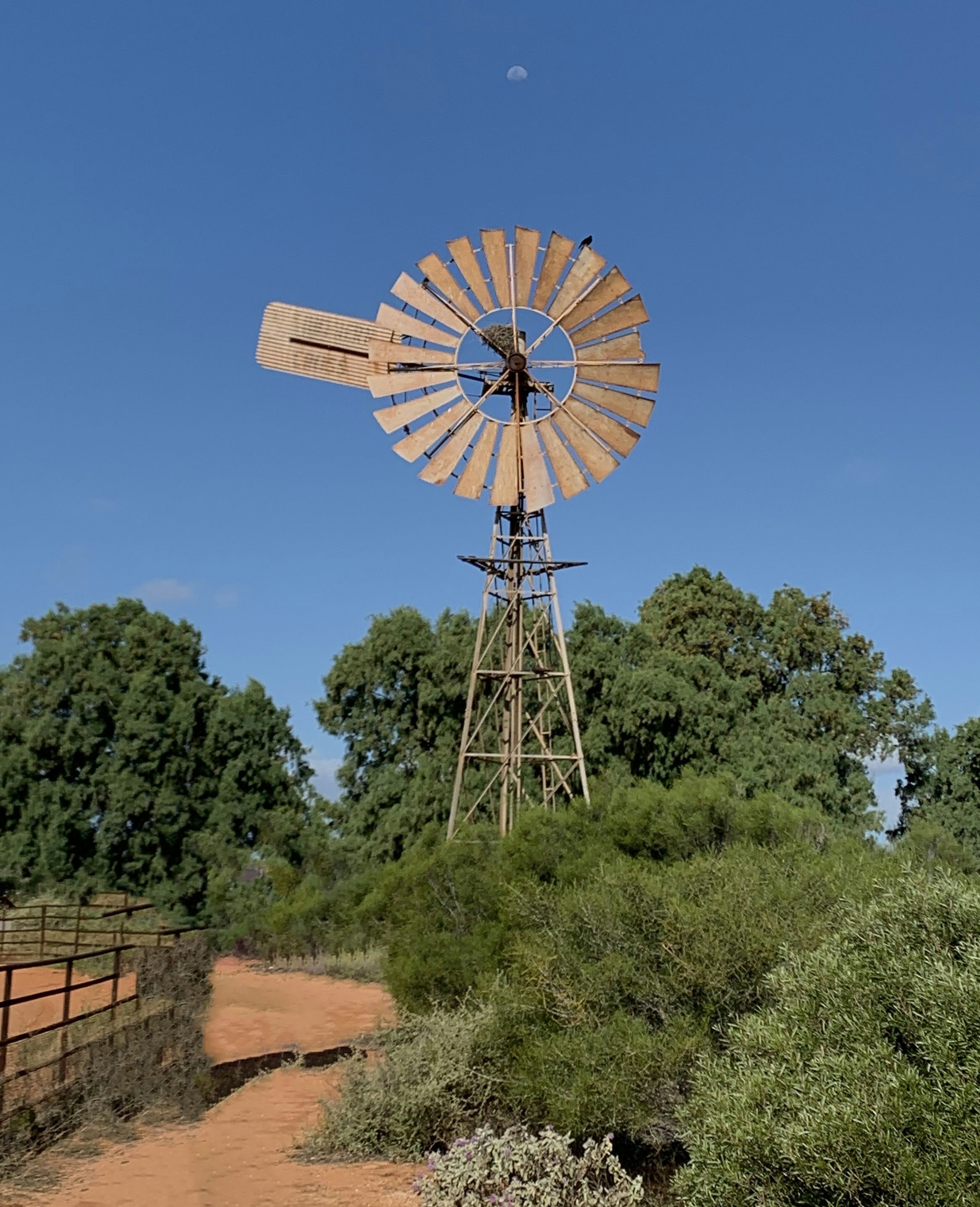 Desert Windmill Under a Clear Azur Sky