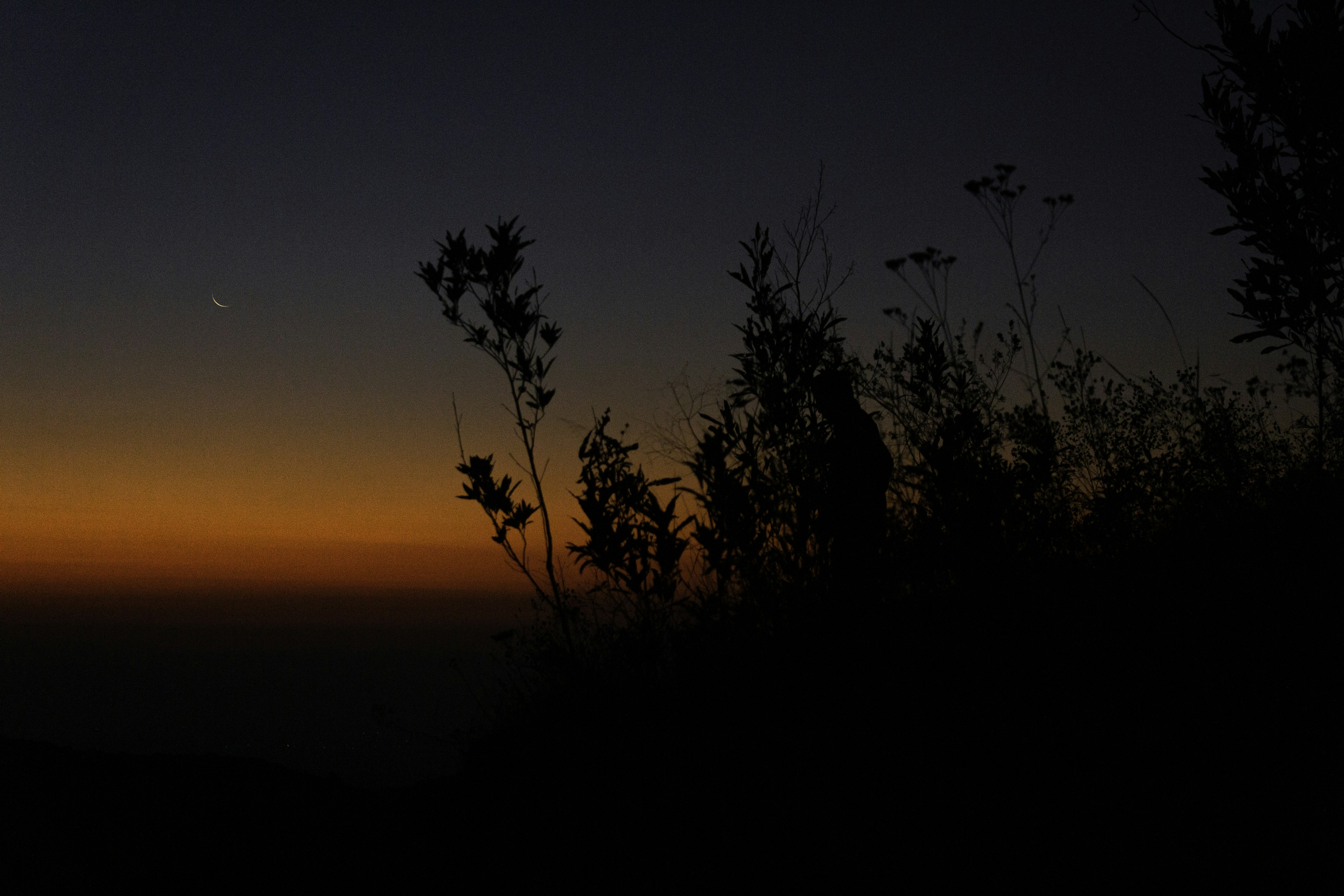 Crescent Moon Over a Silhouetted Horizon at First Light