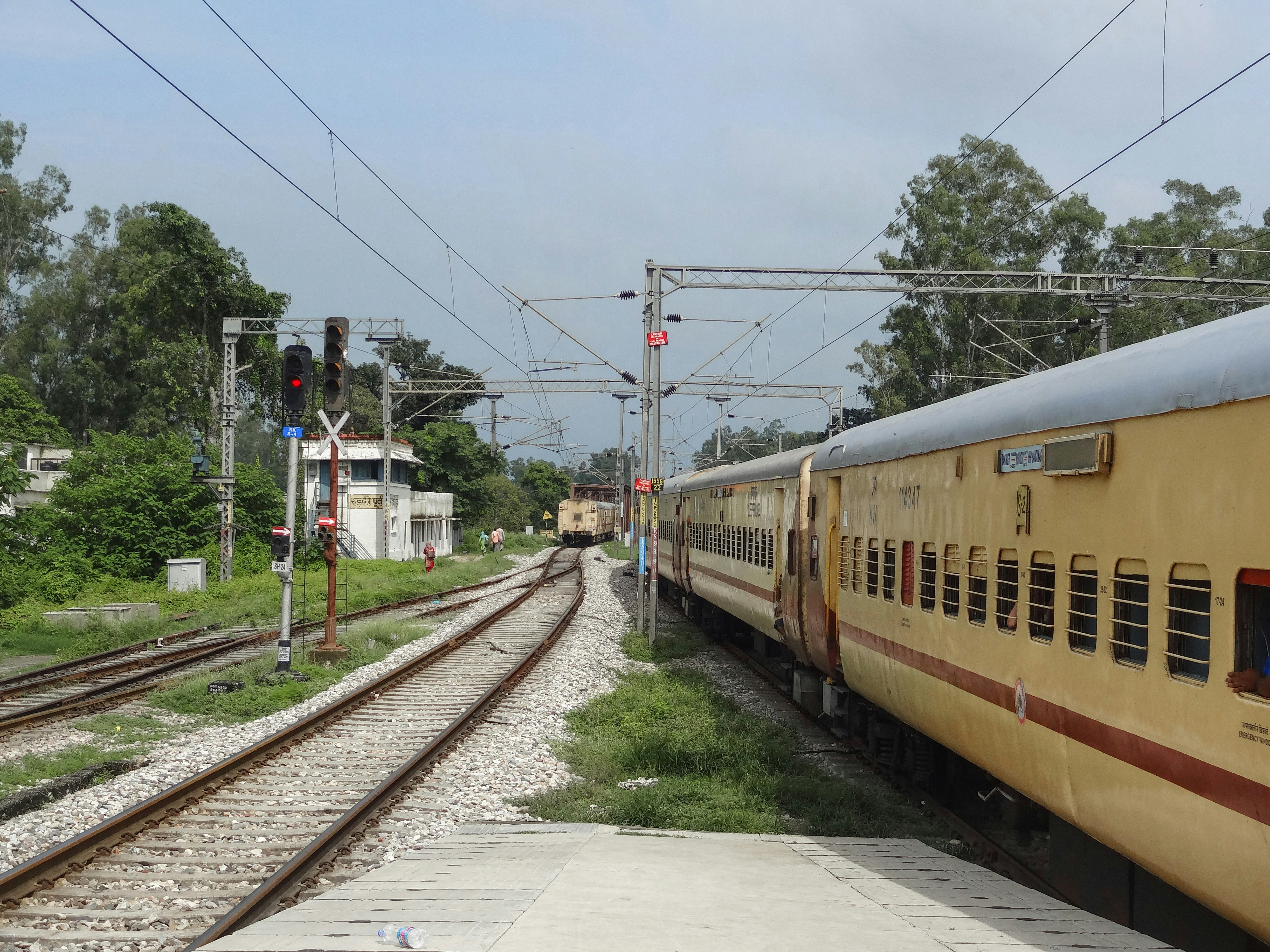 A yellow train traveling down train tracks next to a forest photo ...