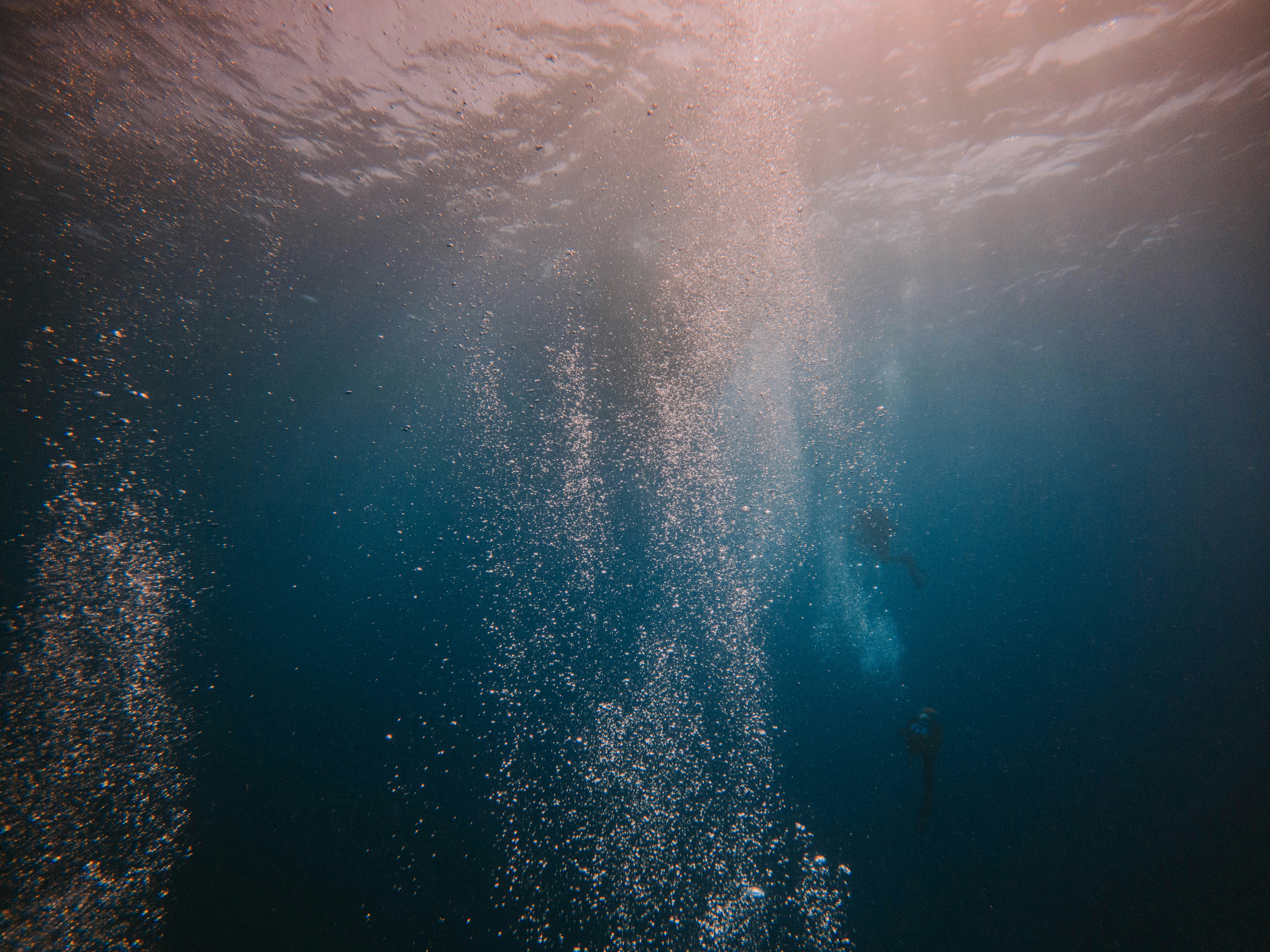 A person swimming under the water in the ocean photo – Free Scuba ...