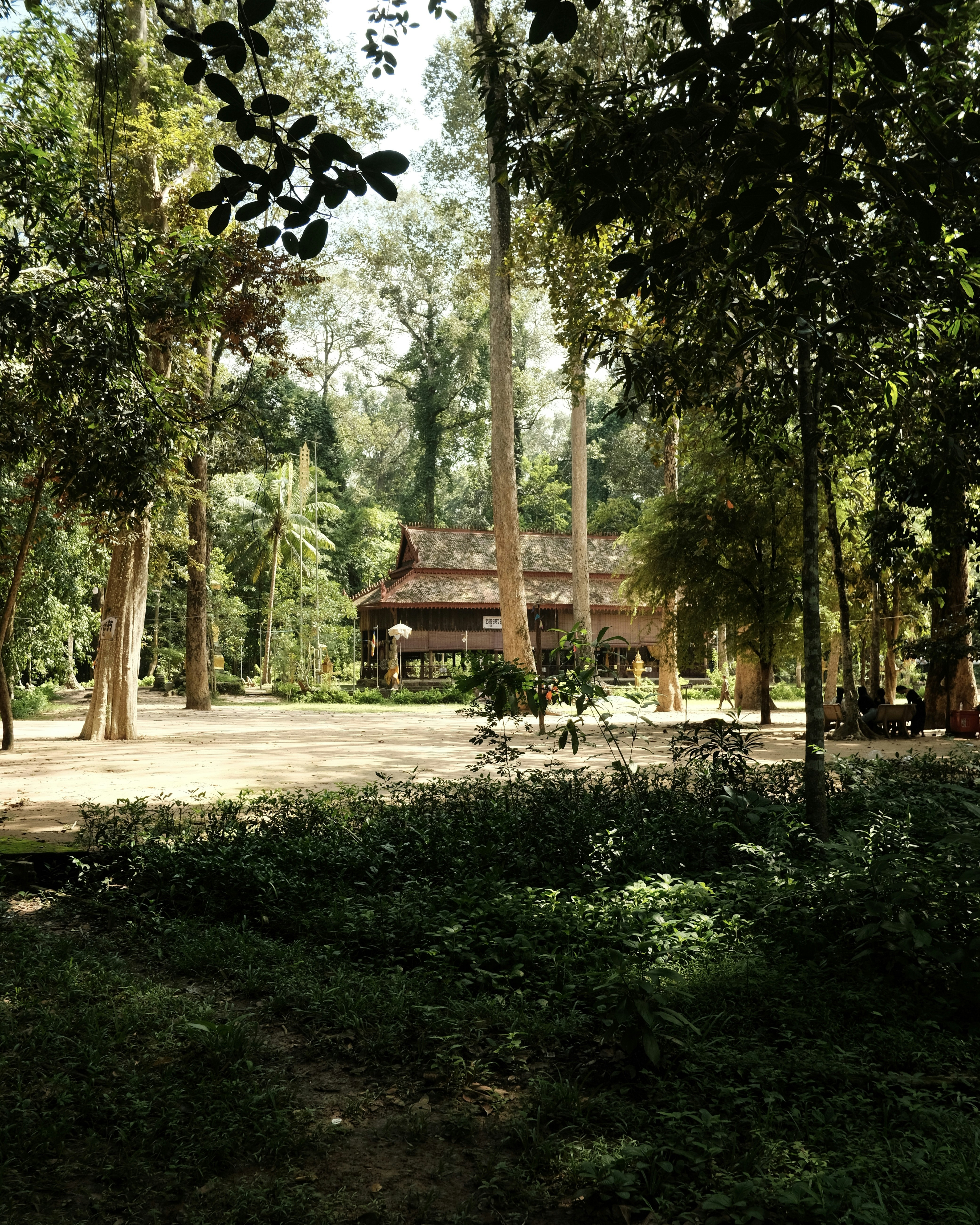 Photo by Sovann Samedy with Fujifilm X-T30 II