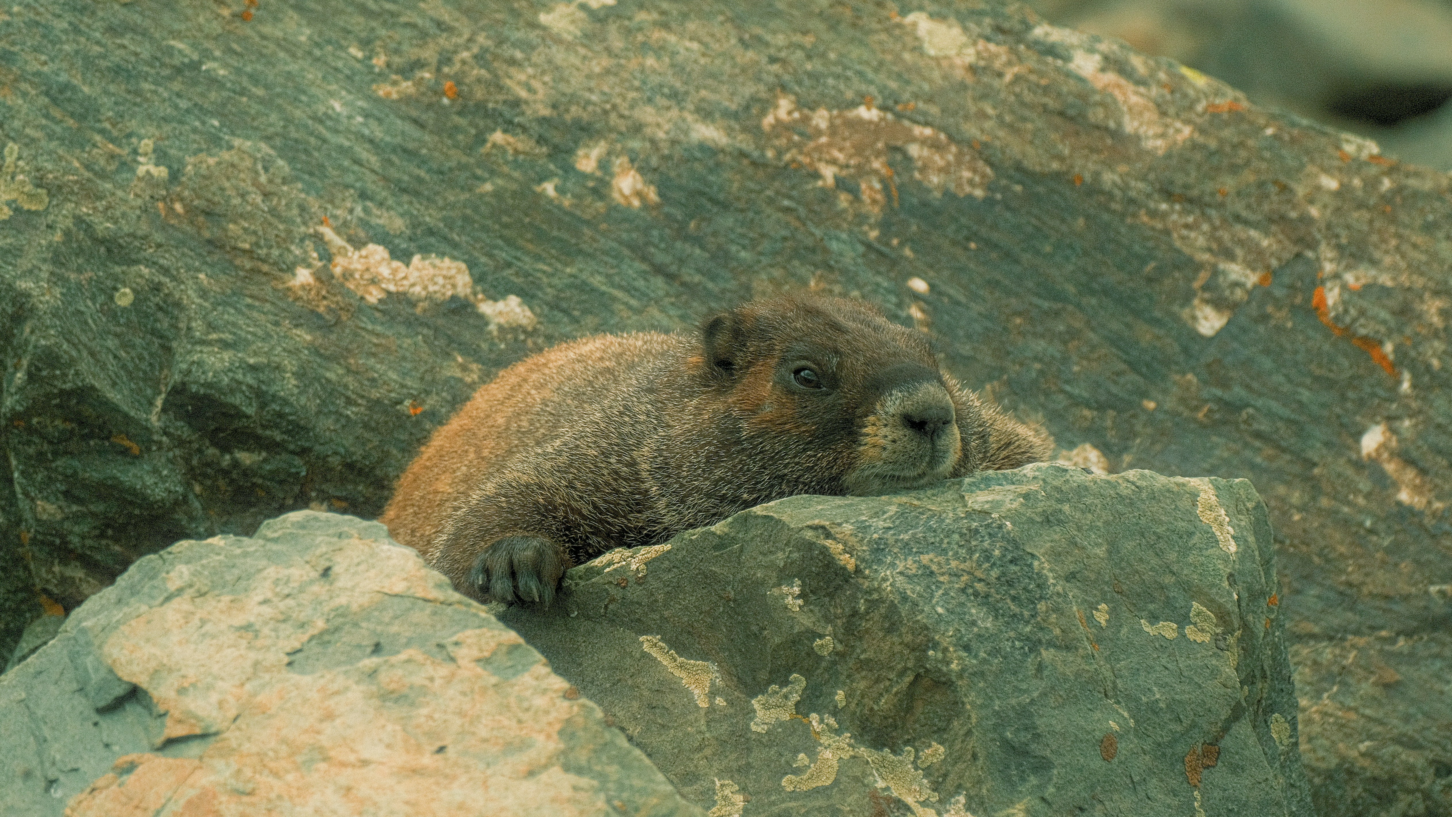 Photo by Maximus Meadowcroft with Fujifilm X-E4