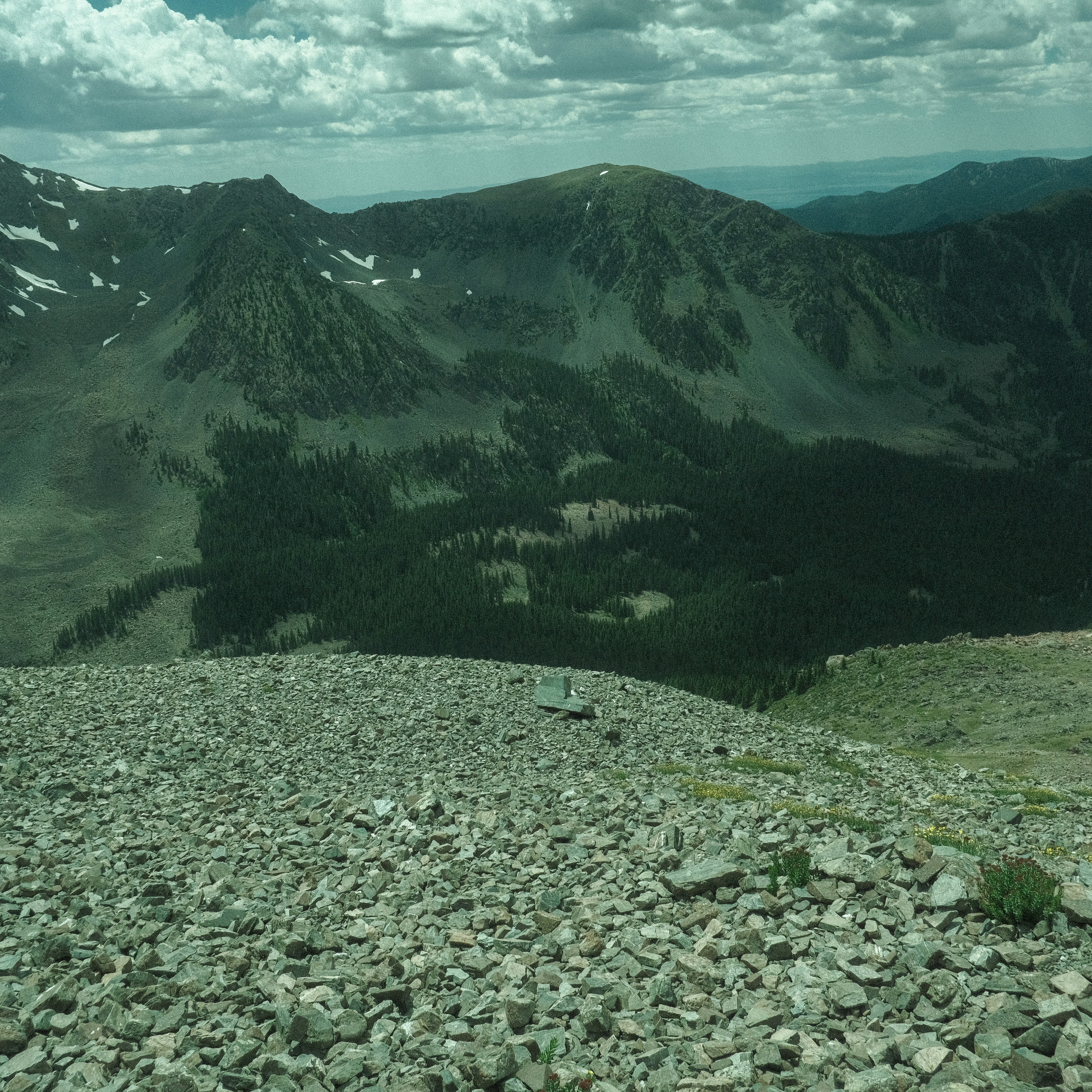 Scree and Summit Vista: Alpine Ridges Framed by a Pine Valley