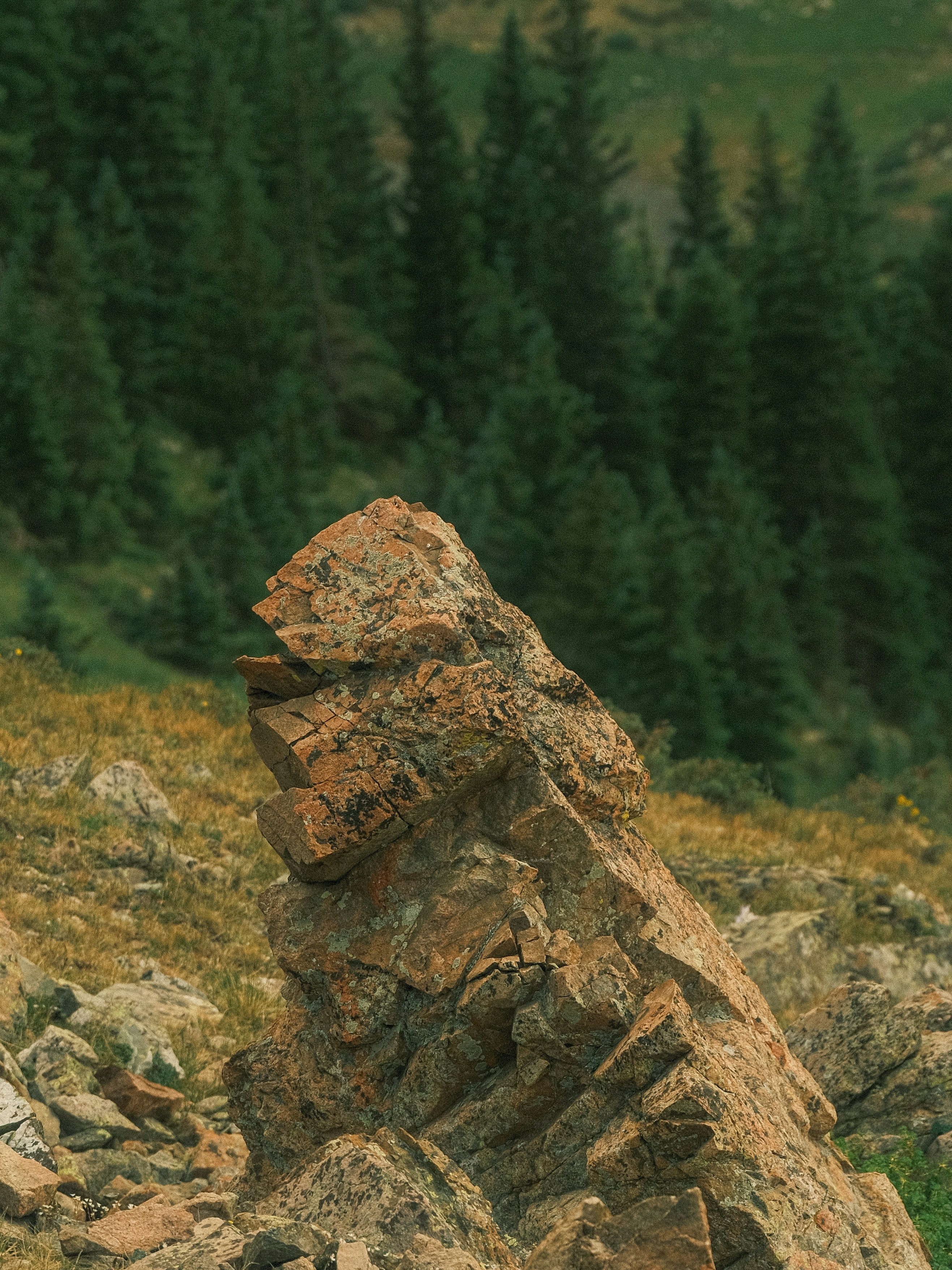 Granite Sentinel Crowns an Alpine Meadow