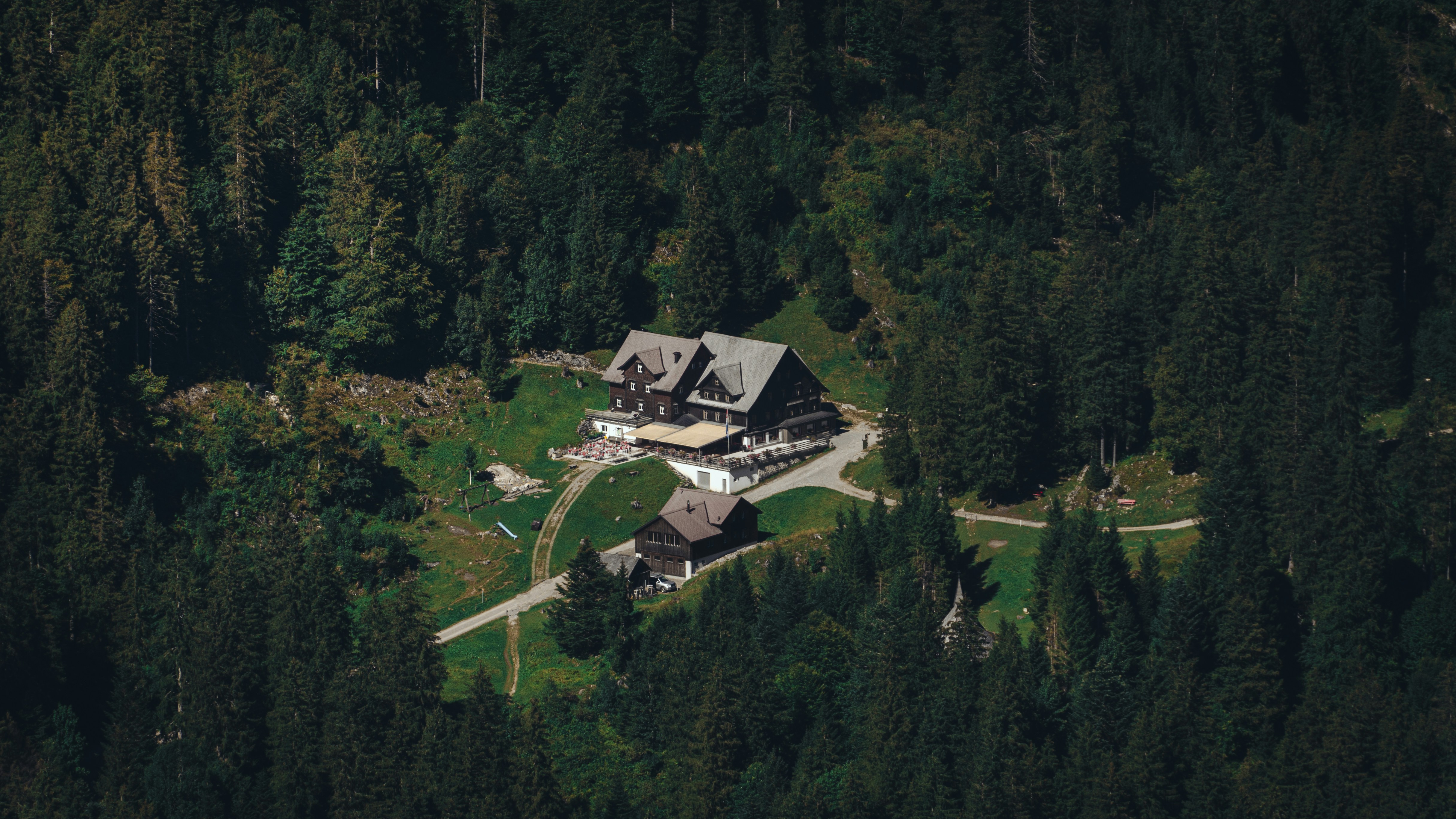 Alpine Lodge Ensemble Nestled in a Quiet Pine Clearing