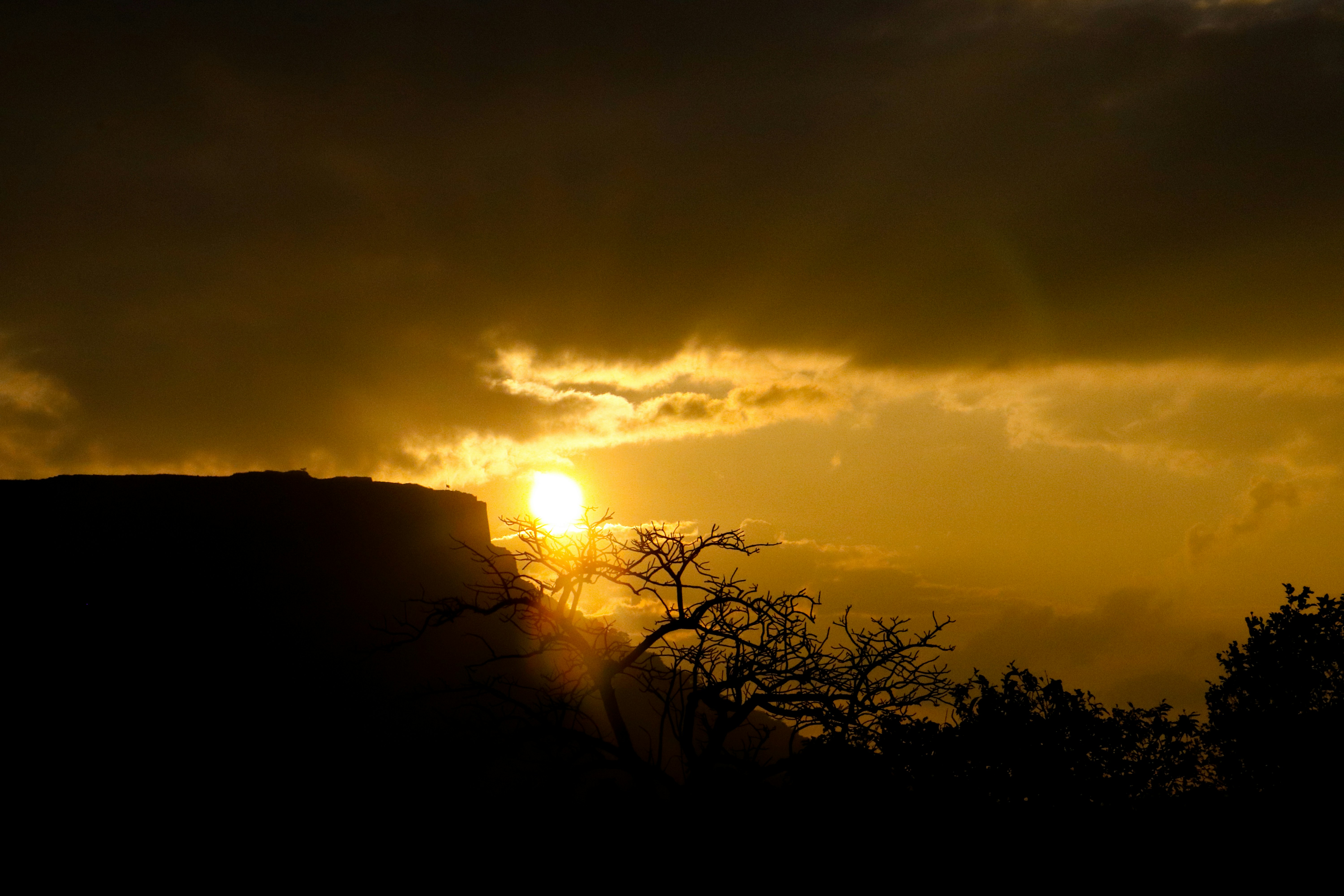 The sun is setting over a hill with trees photo – Free Sunrise Image on ...