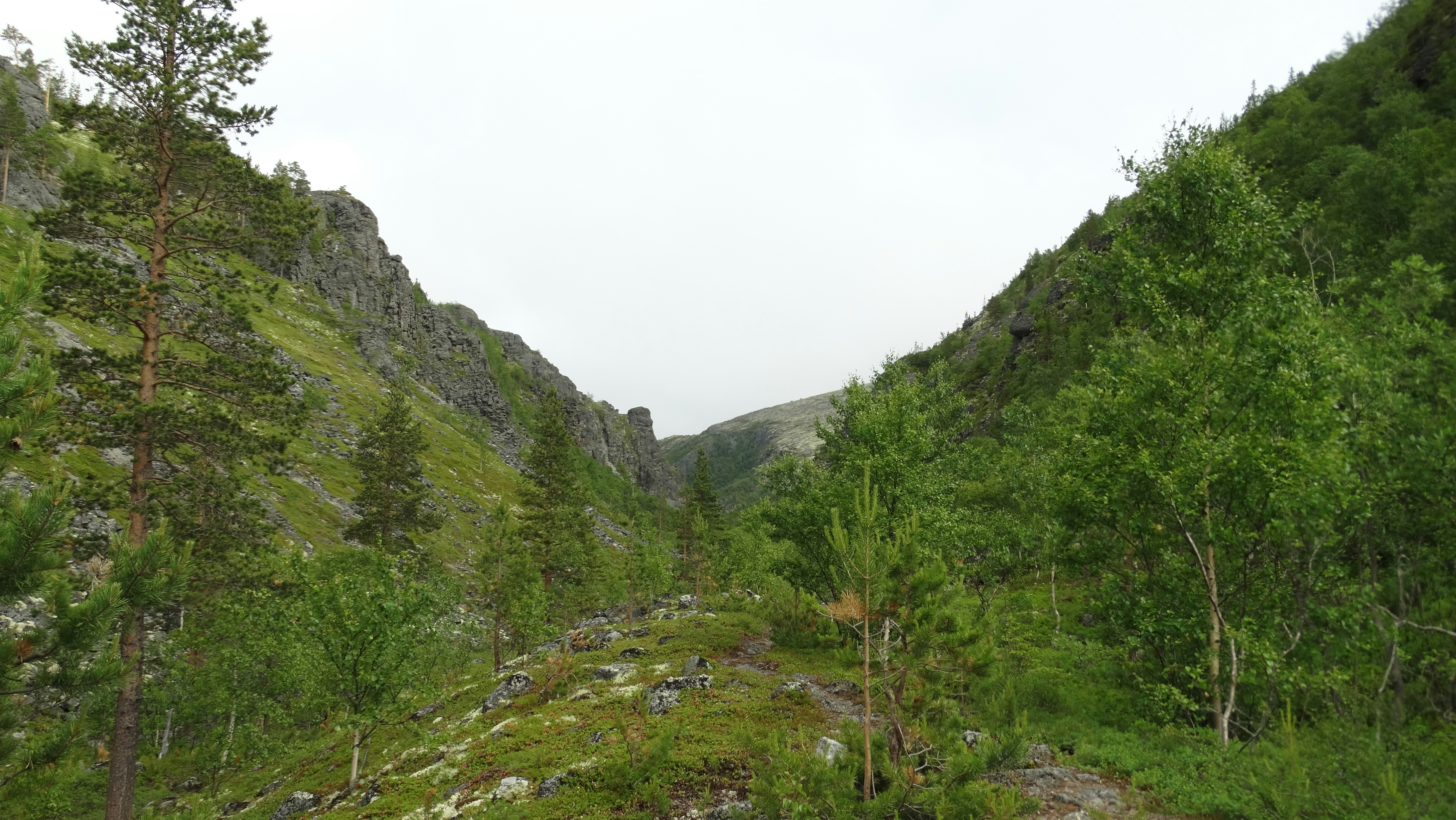 Aku-Aku Gorge | a view of a mountain with trees and rocks in the foreground