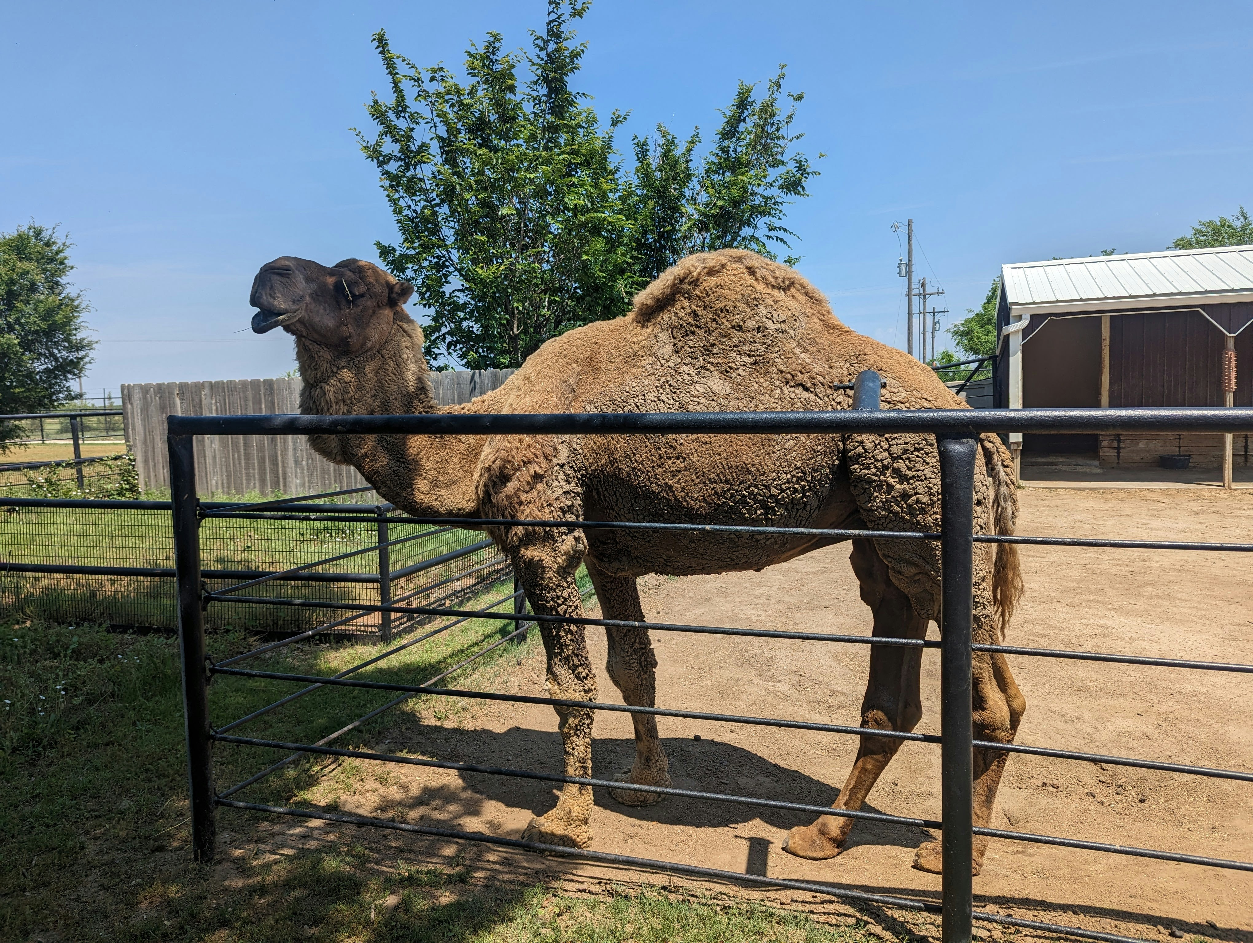 Explore Alice Springs: Adventure, Relaxation & Unique Culture