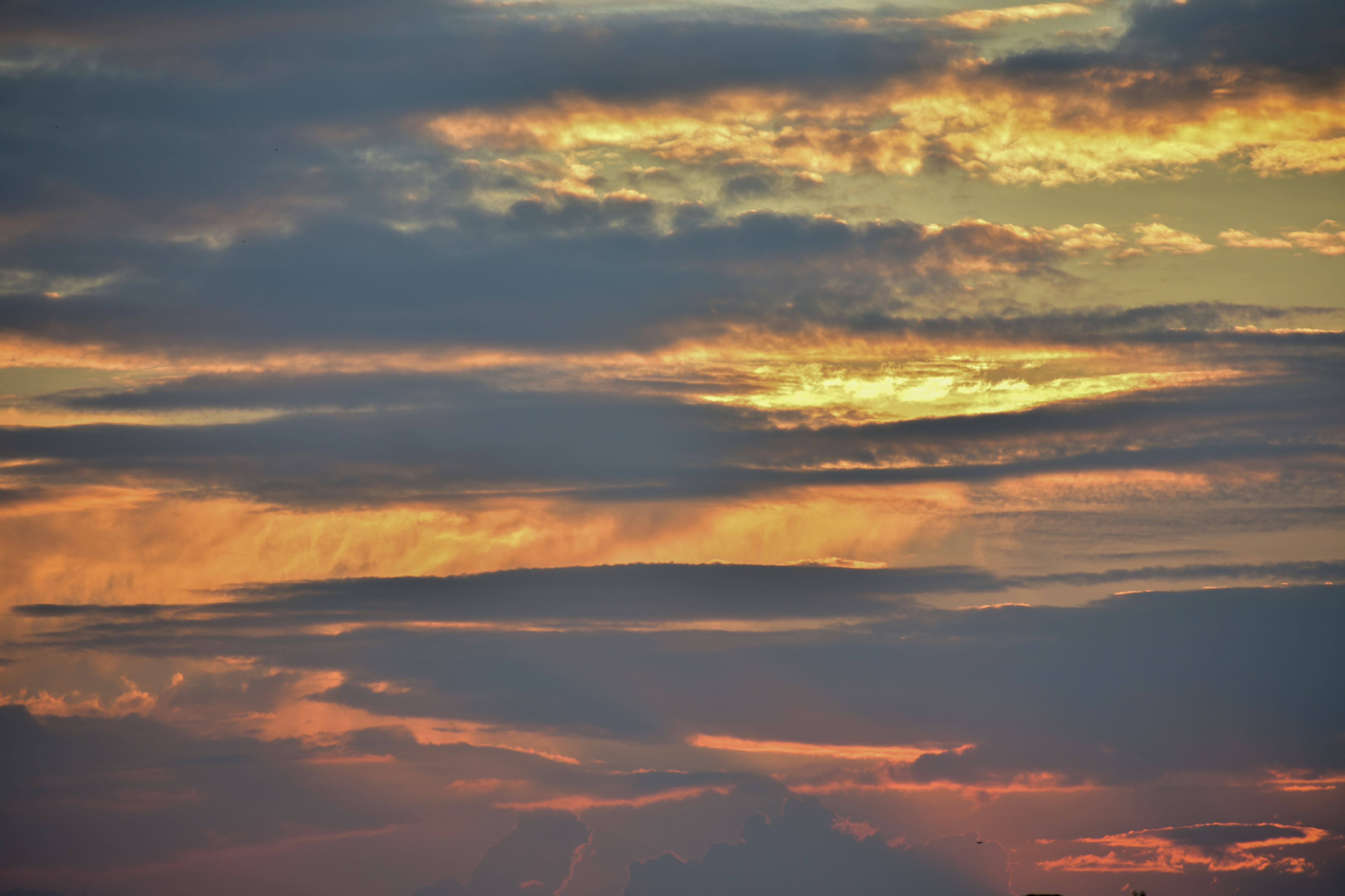 Photo by Neelakshi Singh with Nikon D3400