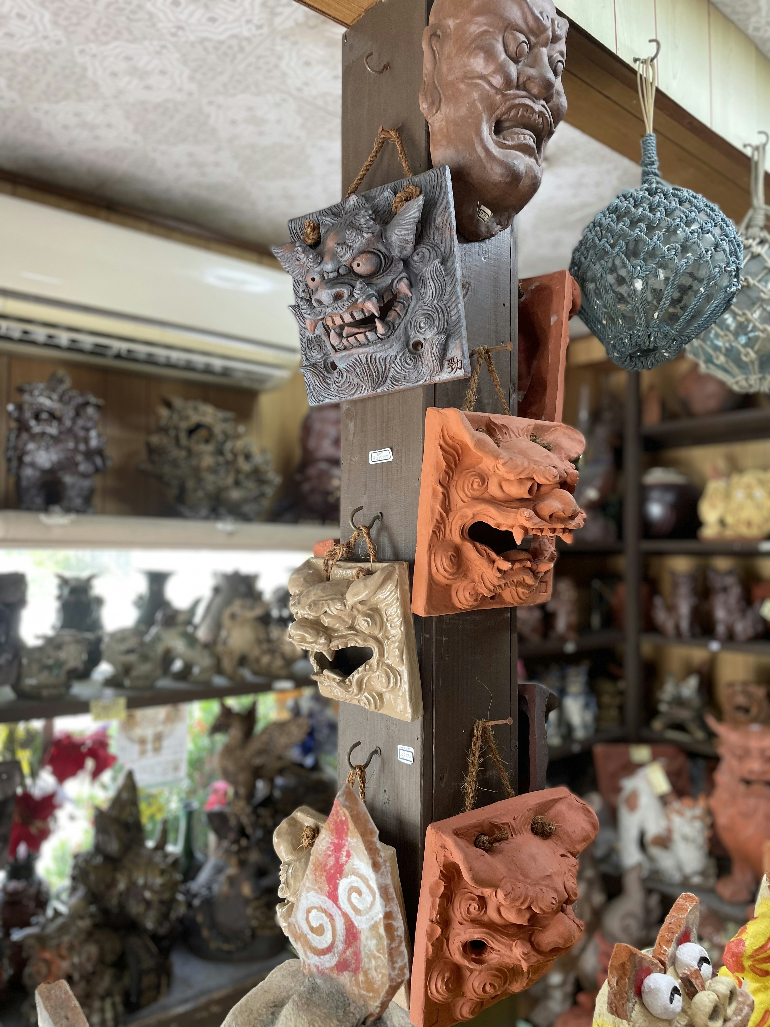 Gordon Fang (@pangolin_0409) | Unsplash Photo Community