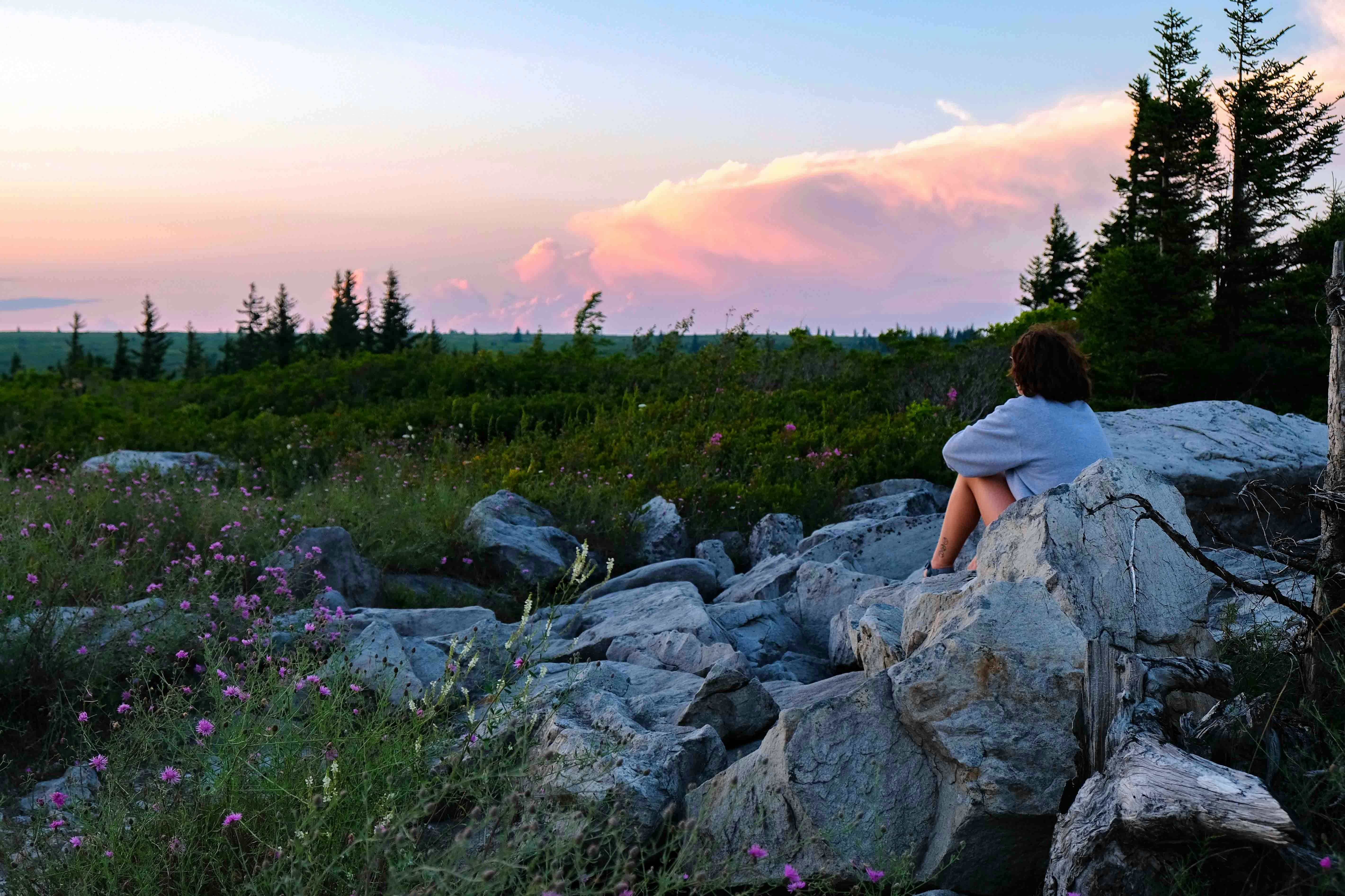 Solitude Amidst the Pink-Hued Skies