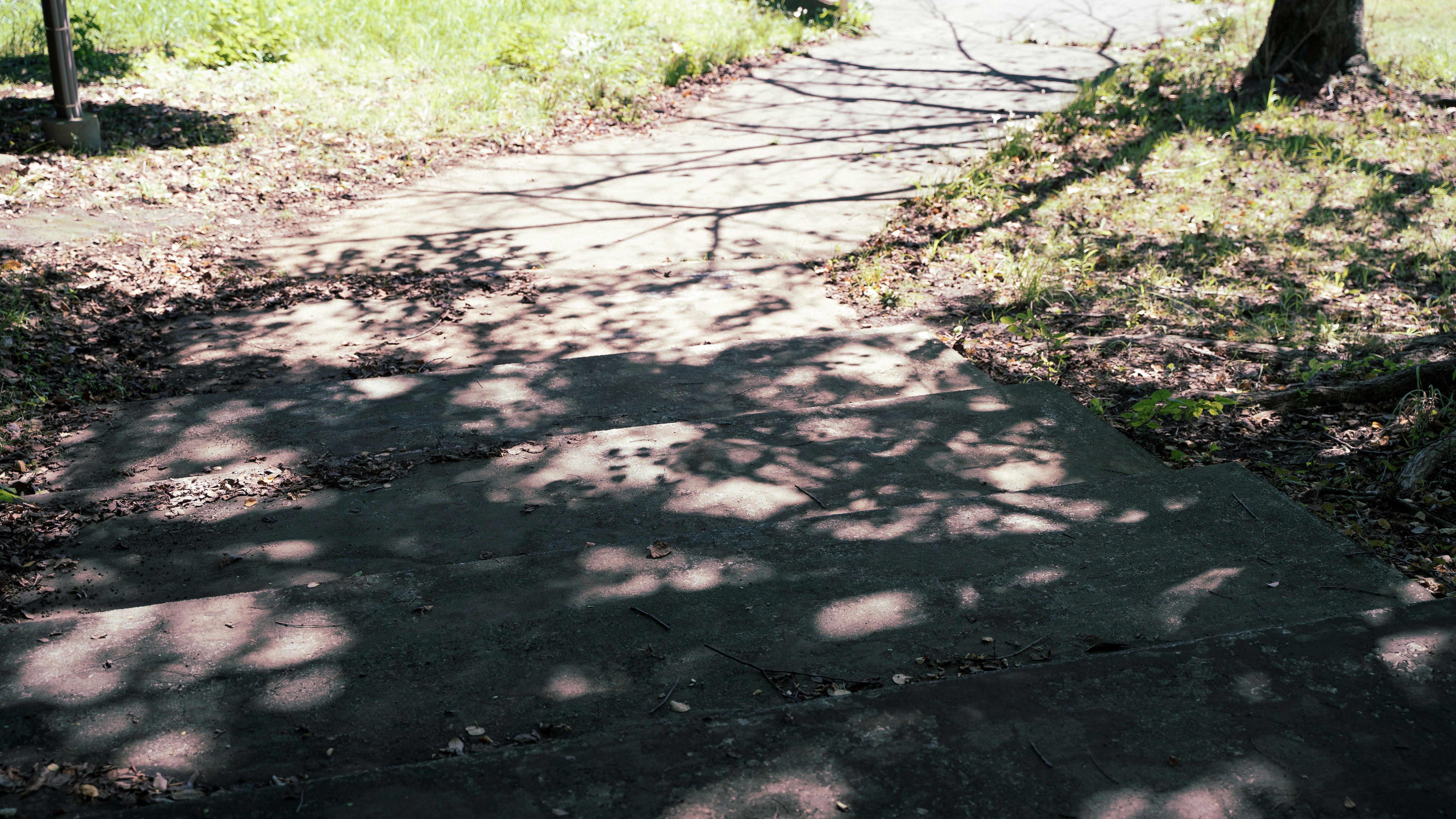 Photo by youichiro ogawa with Sony Alpha 7 III