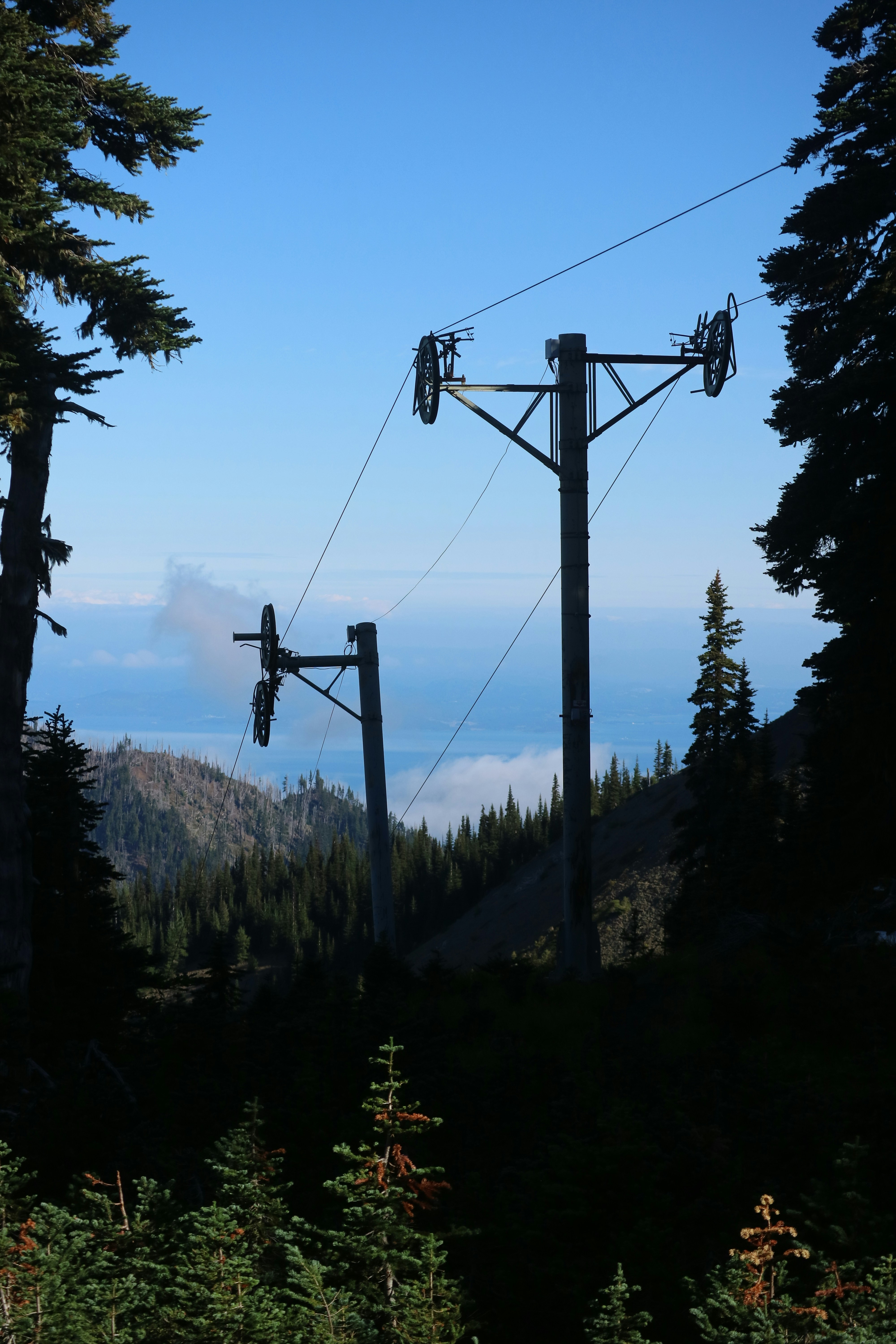 Alpine Skyline: Twin Cable Towers Framed by Pines