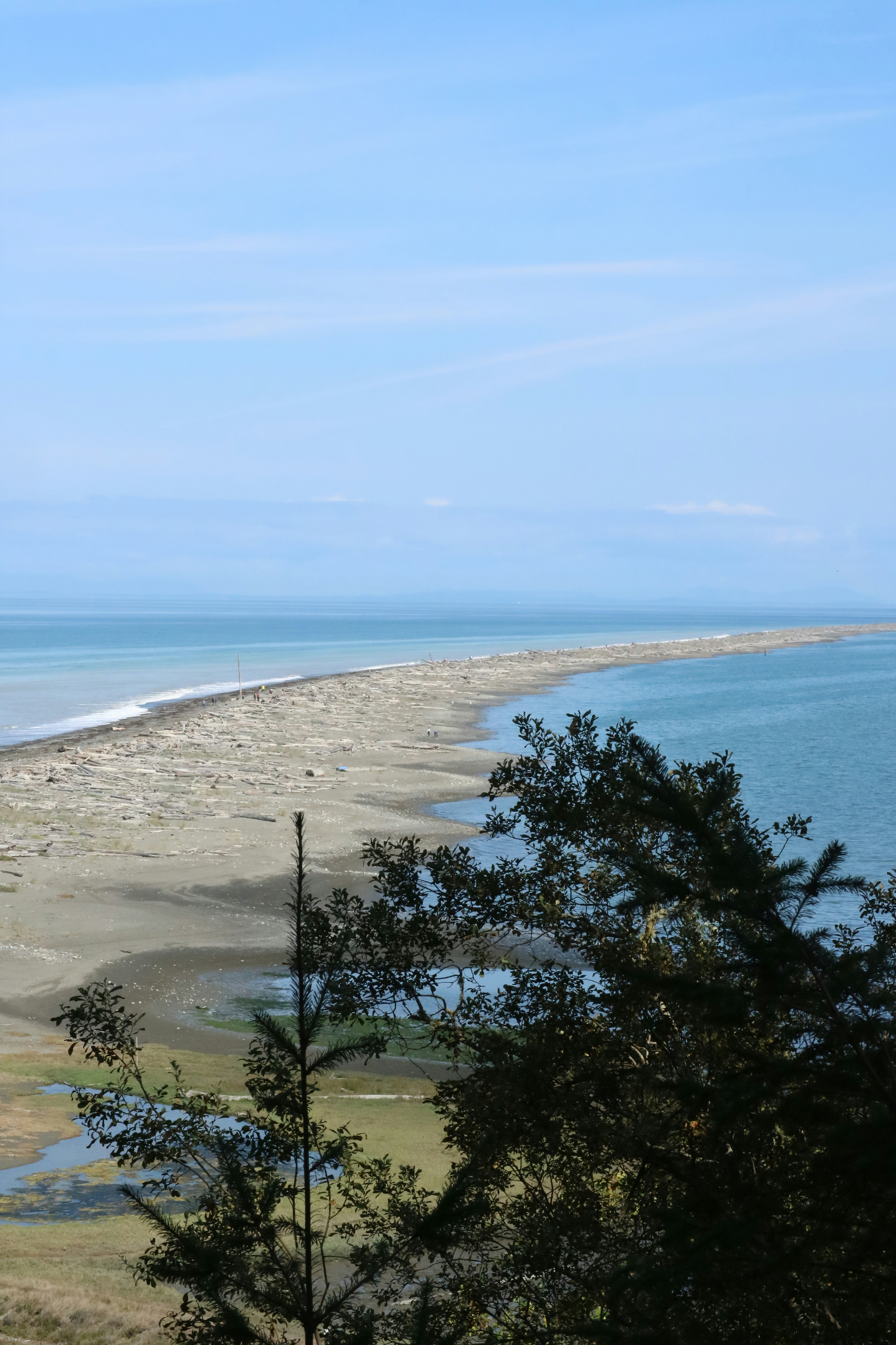 A view of a beach and a body of water photo – Free Dungeness spit Image ...