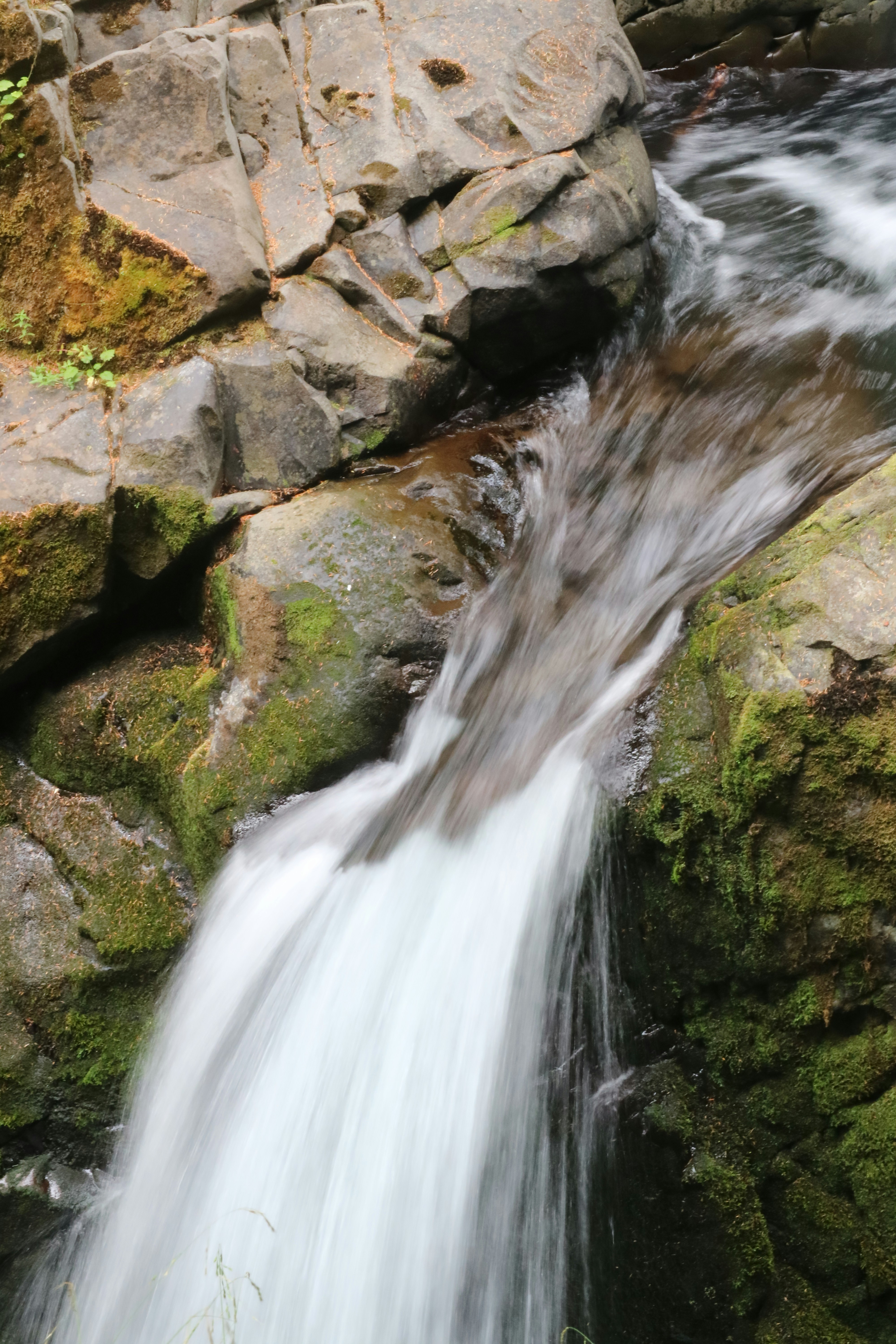A stream of water running over rocks in a forest photo – Free Woods ...