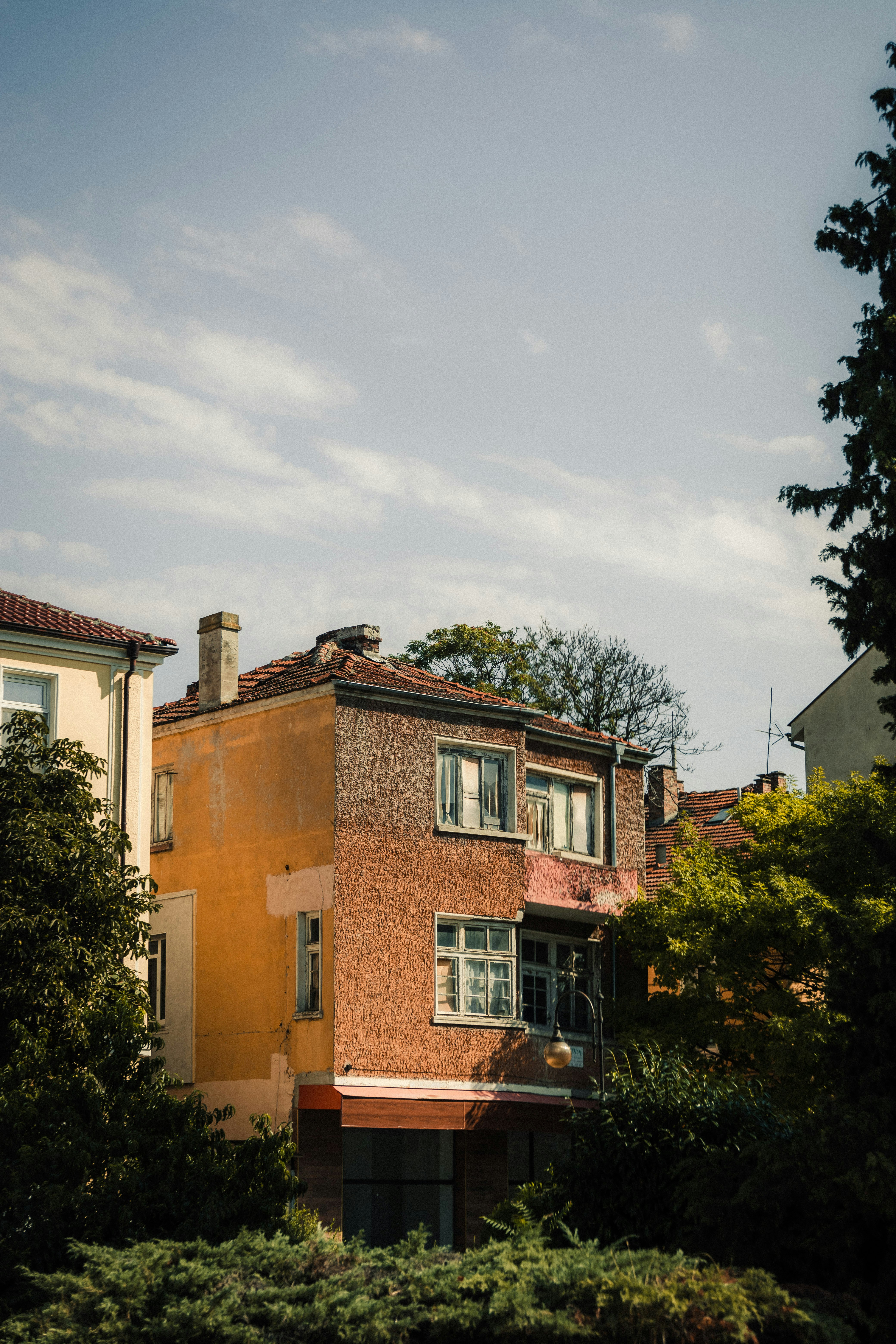 Photo by Julia Igosheva with Canon EOS RP