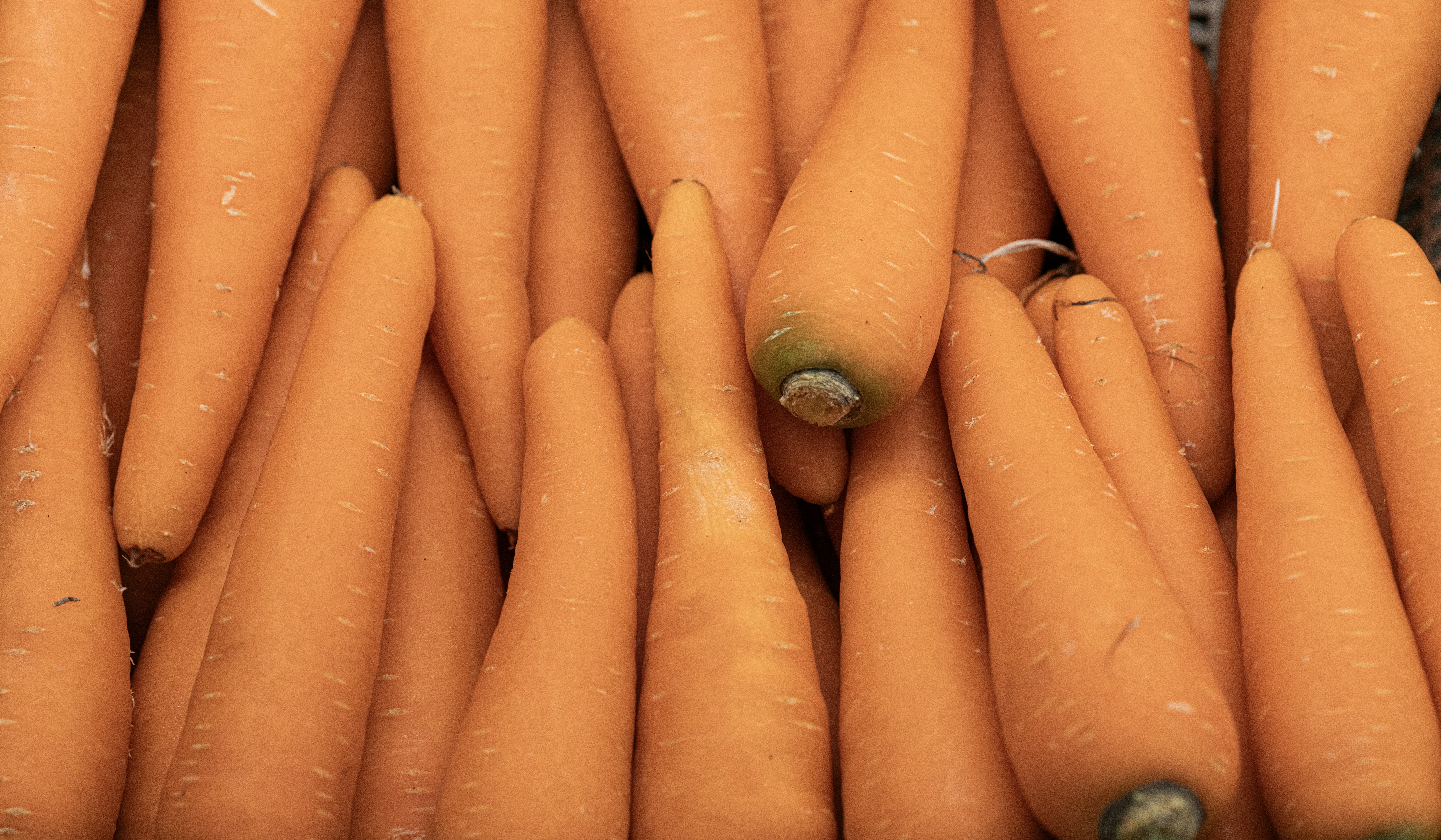 Carrot Cascade: a macro close-up of stacked orange spears