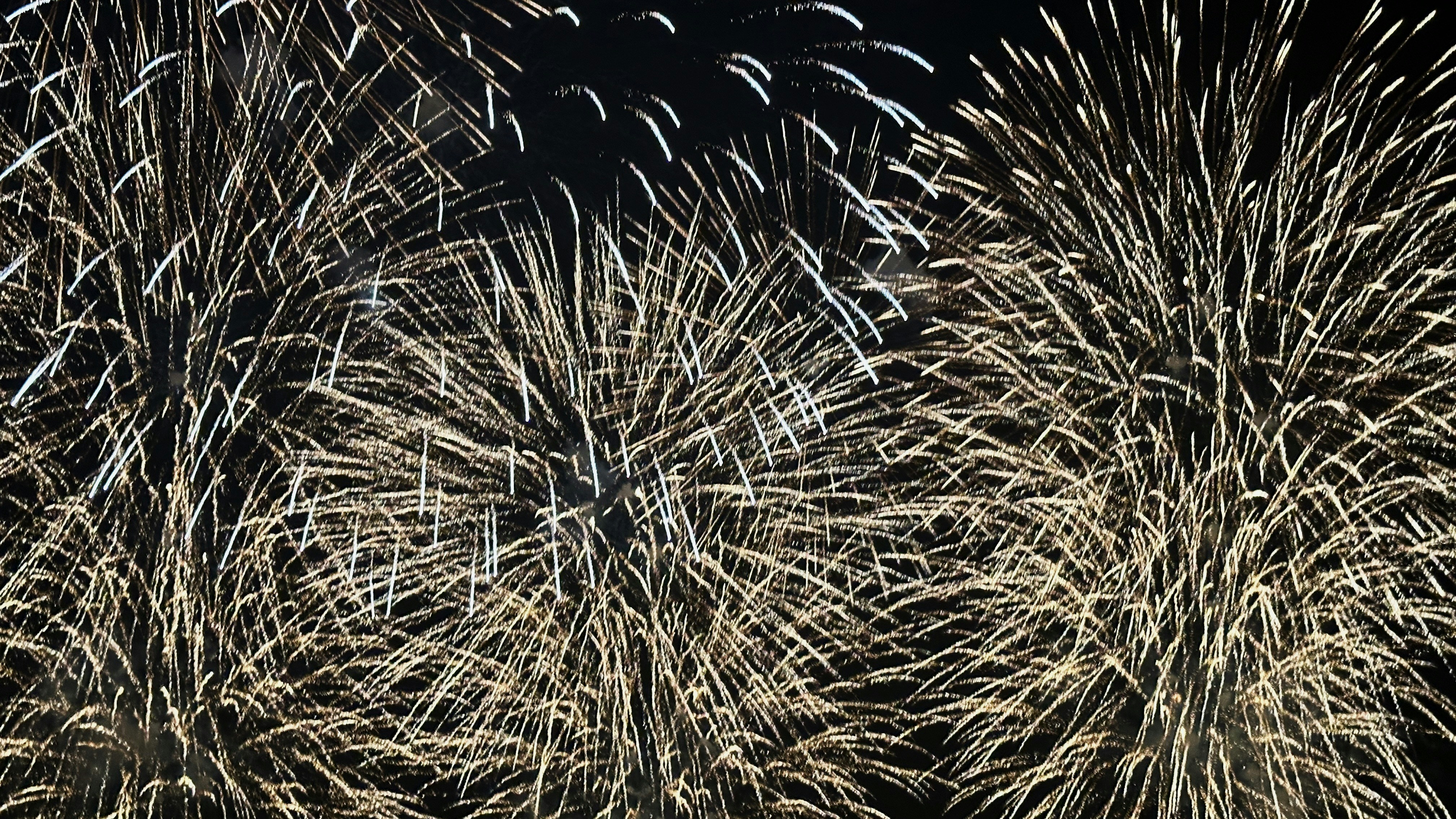 Midnight Bloom: Fireworks Framing the Night Sky