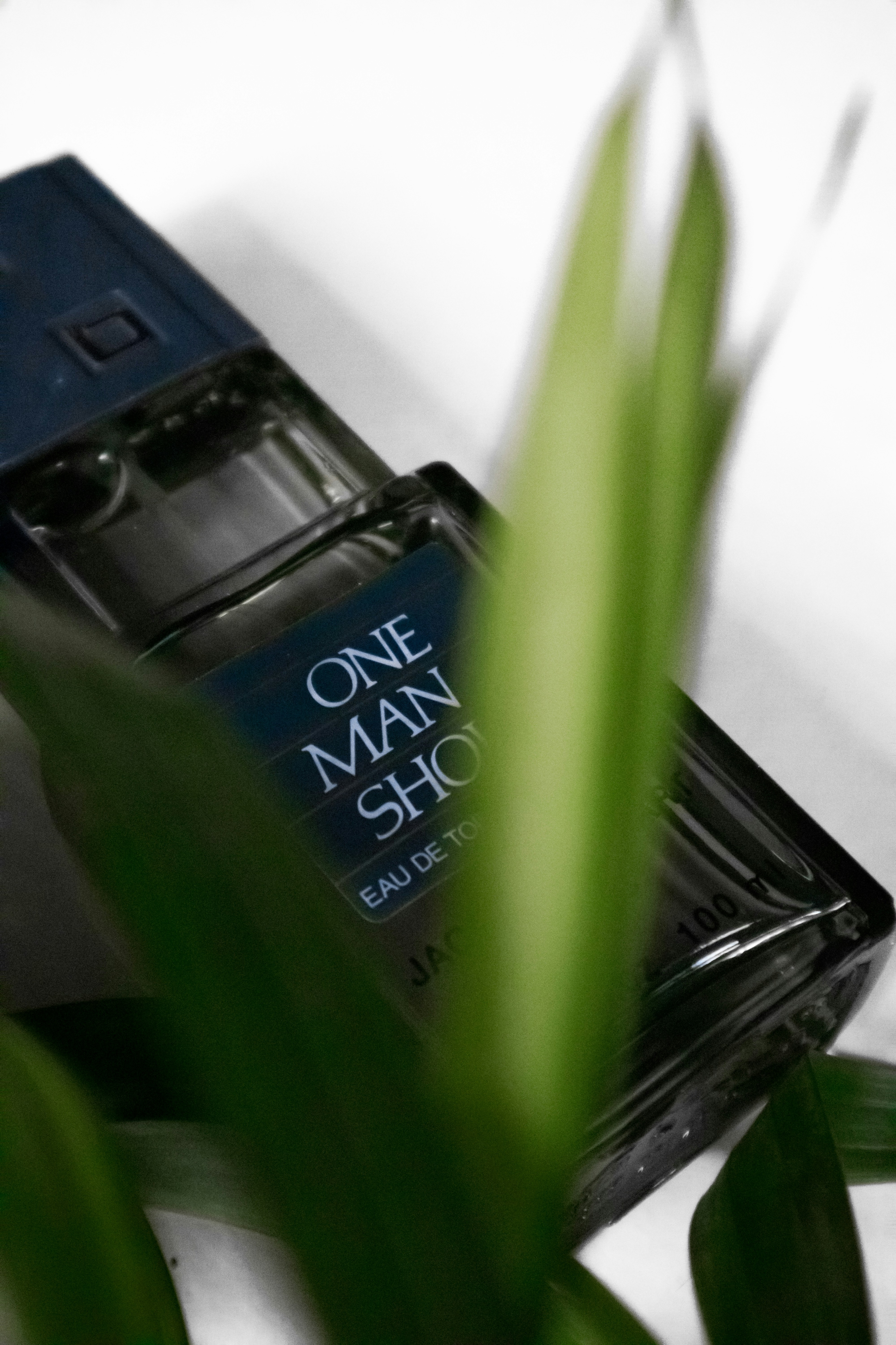 Conflicted Fragrance: One Man Show Hidden Amid Green Fronds