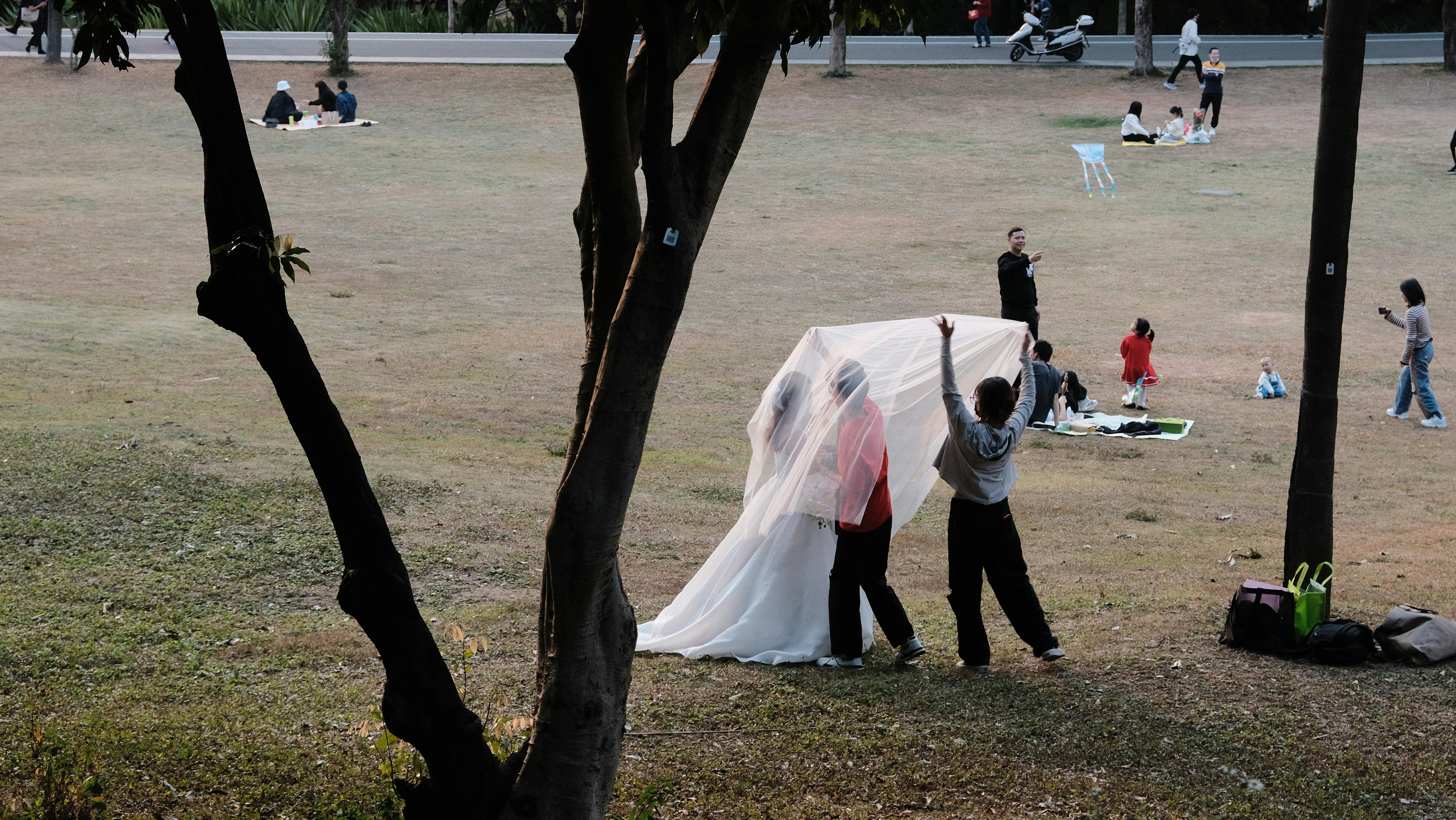 Under Park Veil: A Casual Wedding Moment Unfolds in a Sunlit Field