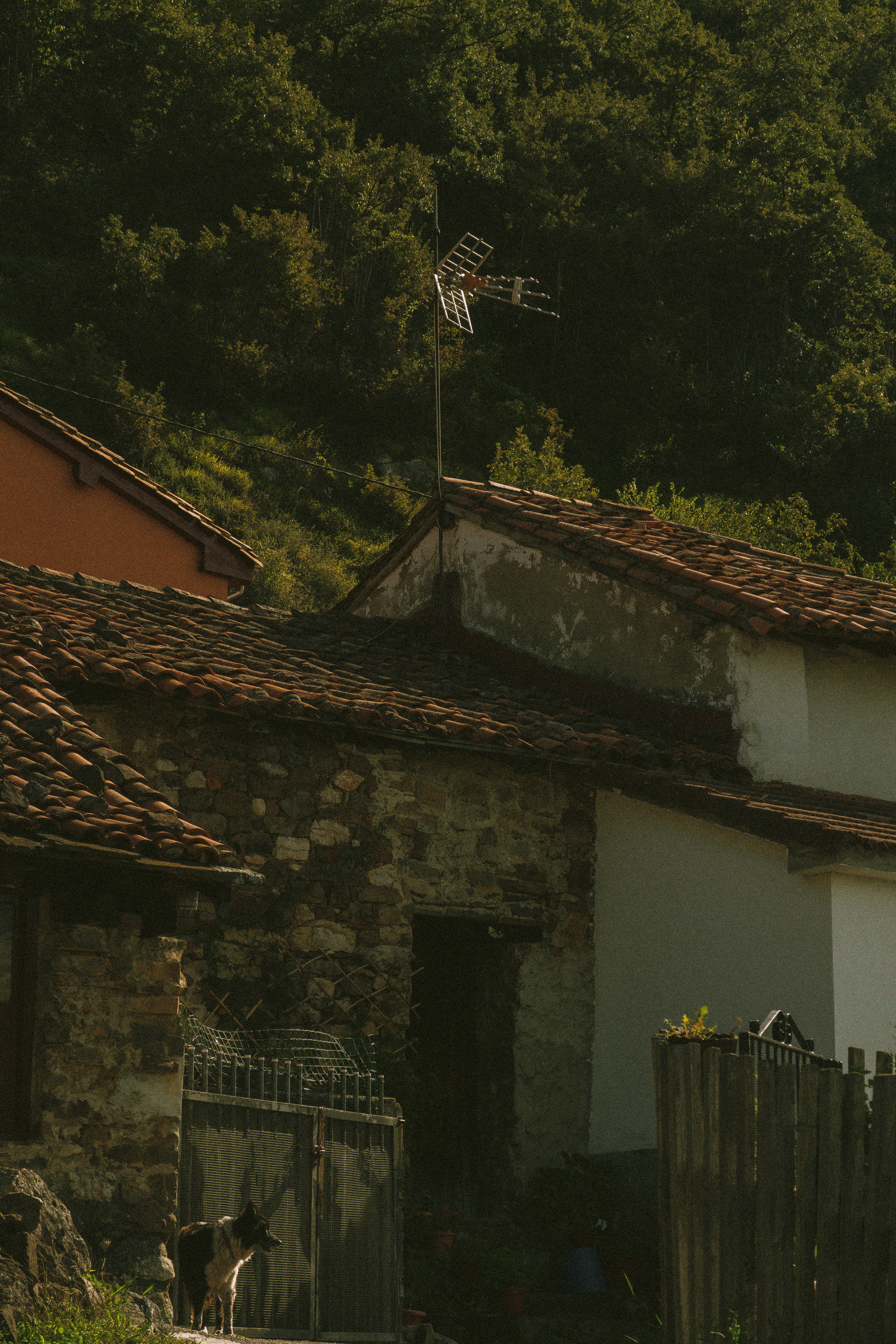 Sunlit Terrace and Satellite Antenna Above Rustic Rooftops