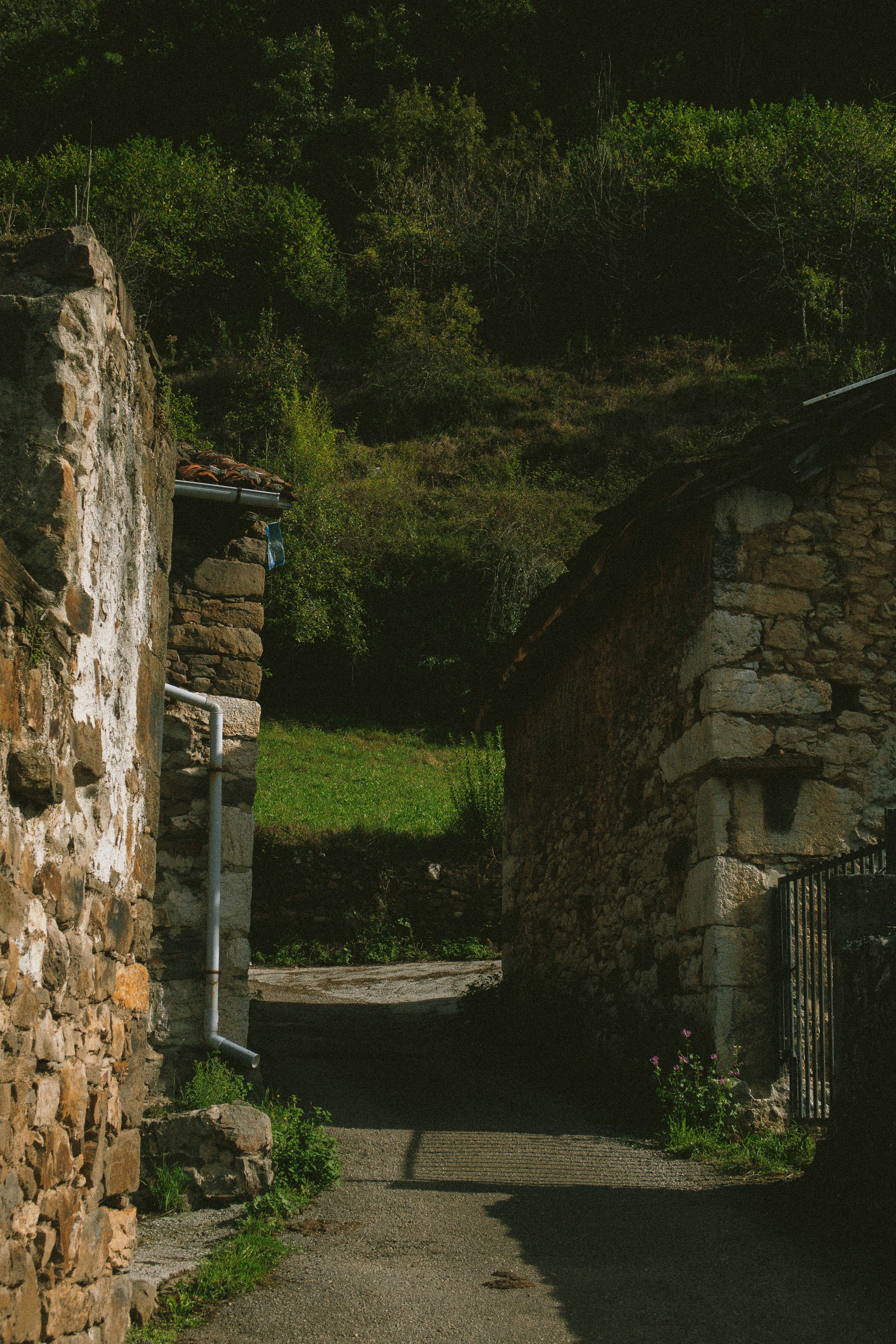 Photo by Keith Mapeki with Canon PowerShot G7 X Mark II