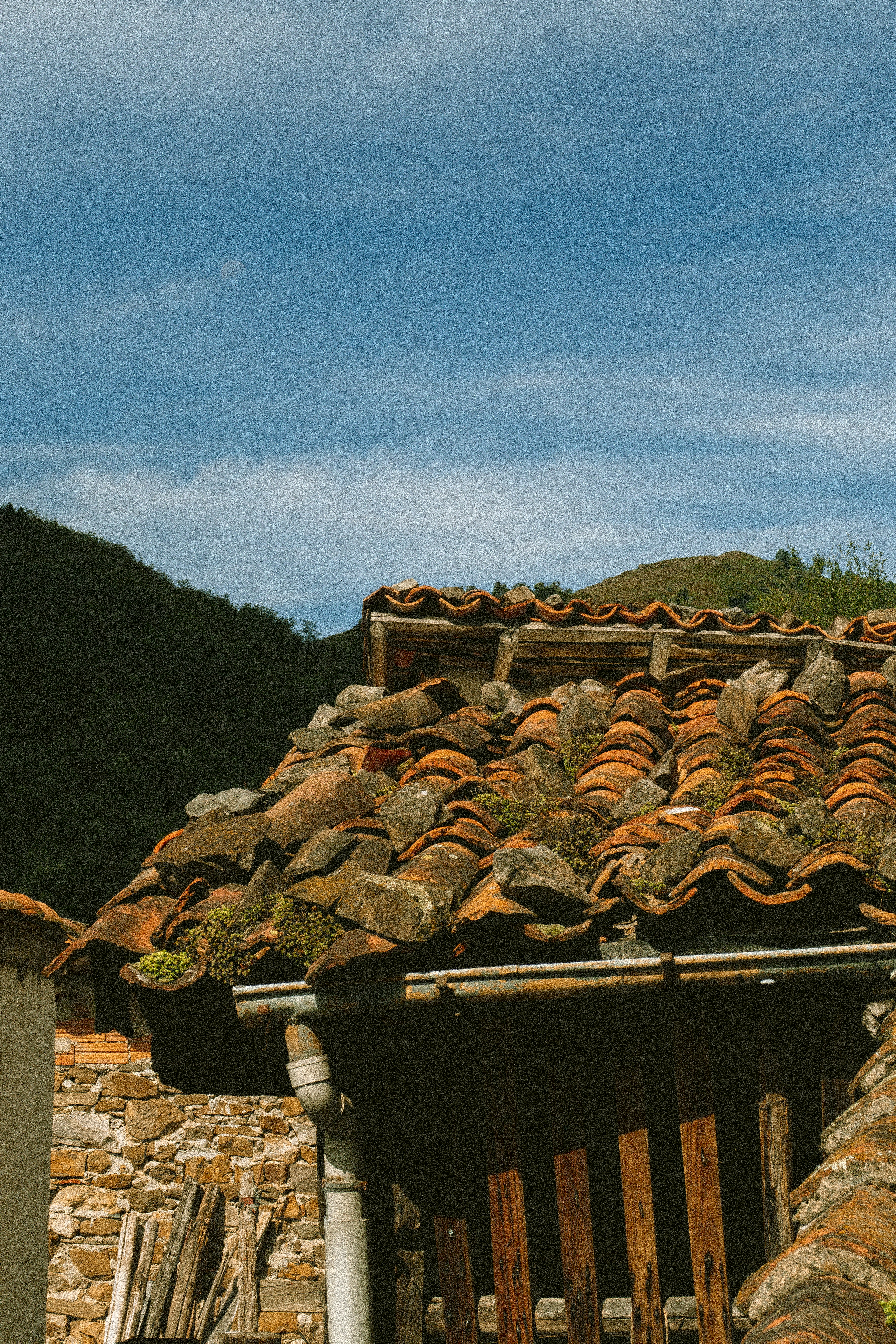 Photo by Keith Mapeki with Canon PowerShot G7 X Mark II