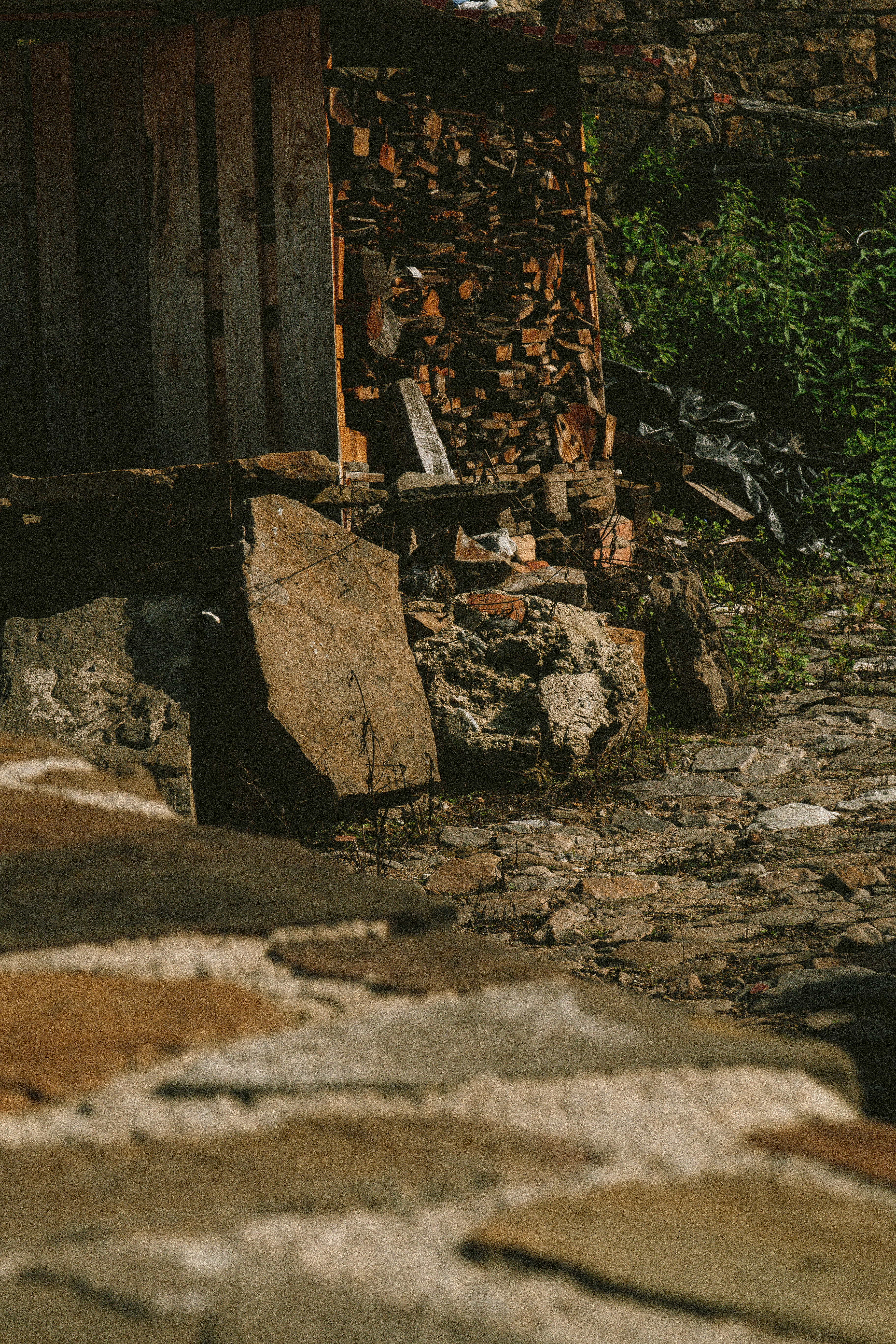 Timber Stack at the Edge of a Sunlit Stone Path