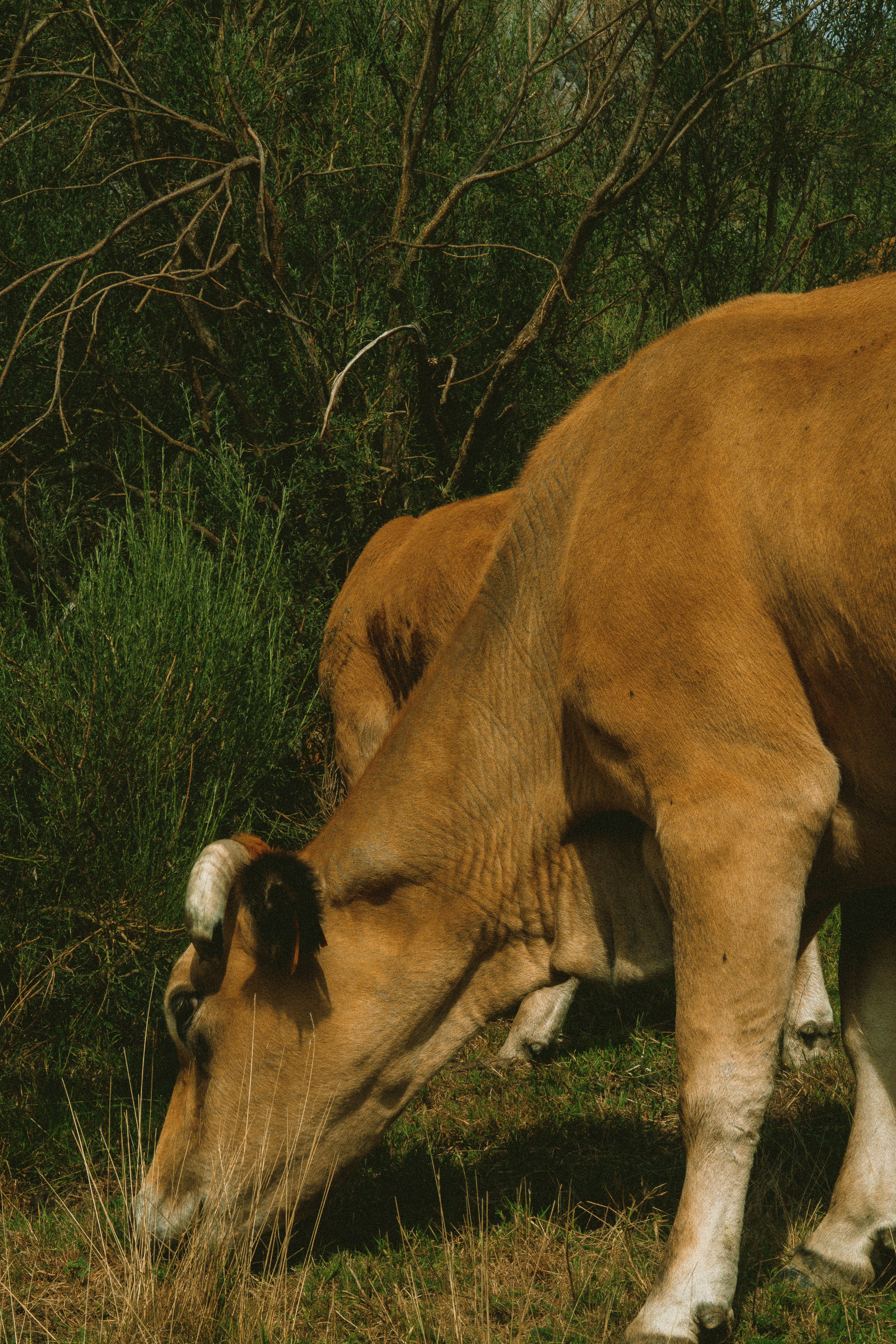 Photo by Keith Mapeki with Canon PowerShot G7 X Mark II