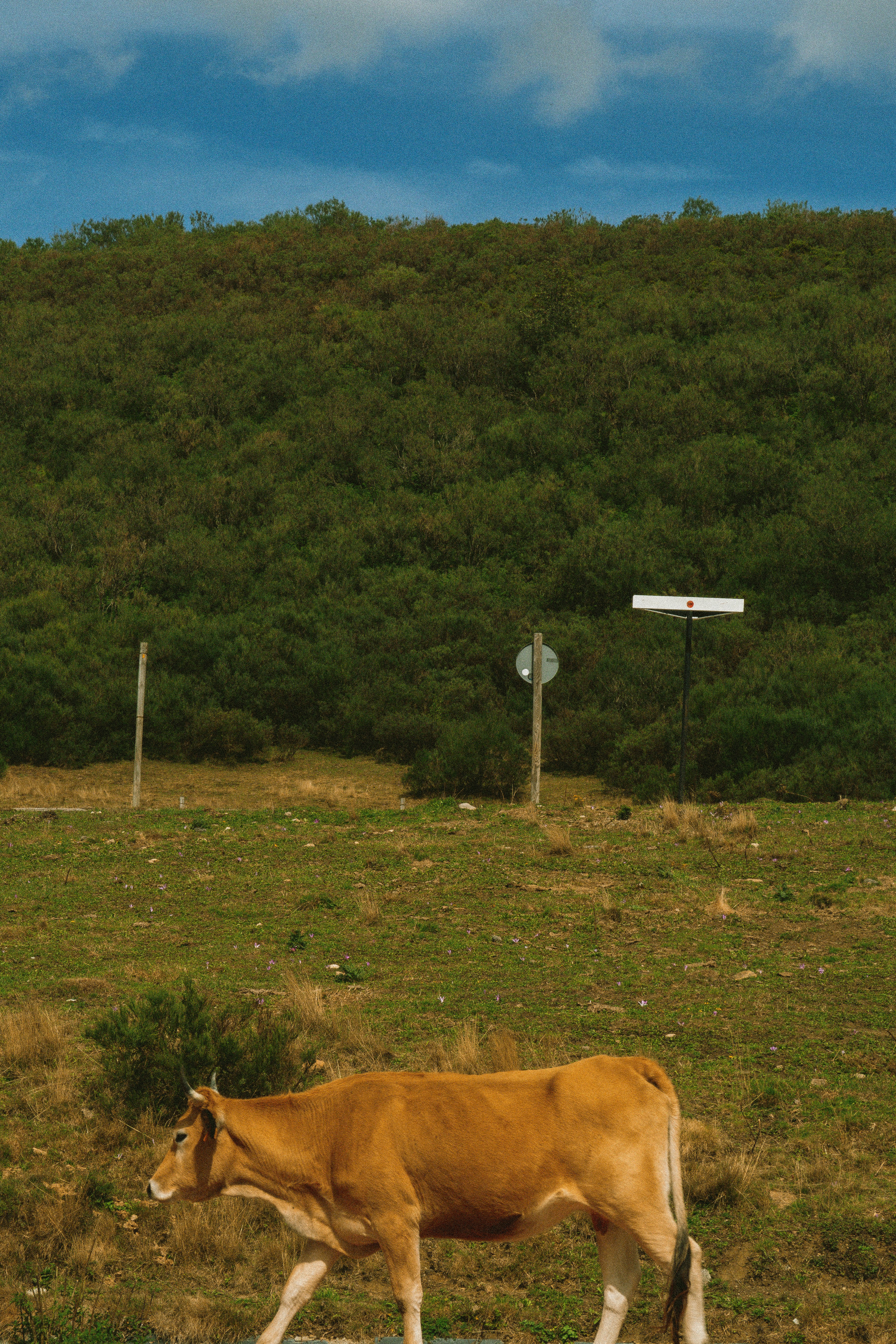 Photo by Keith Mapeki with Canon PowerShot G7 X Mark II