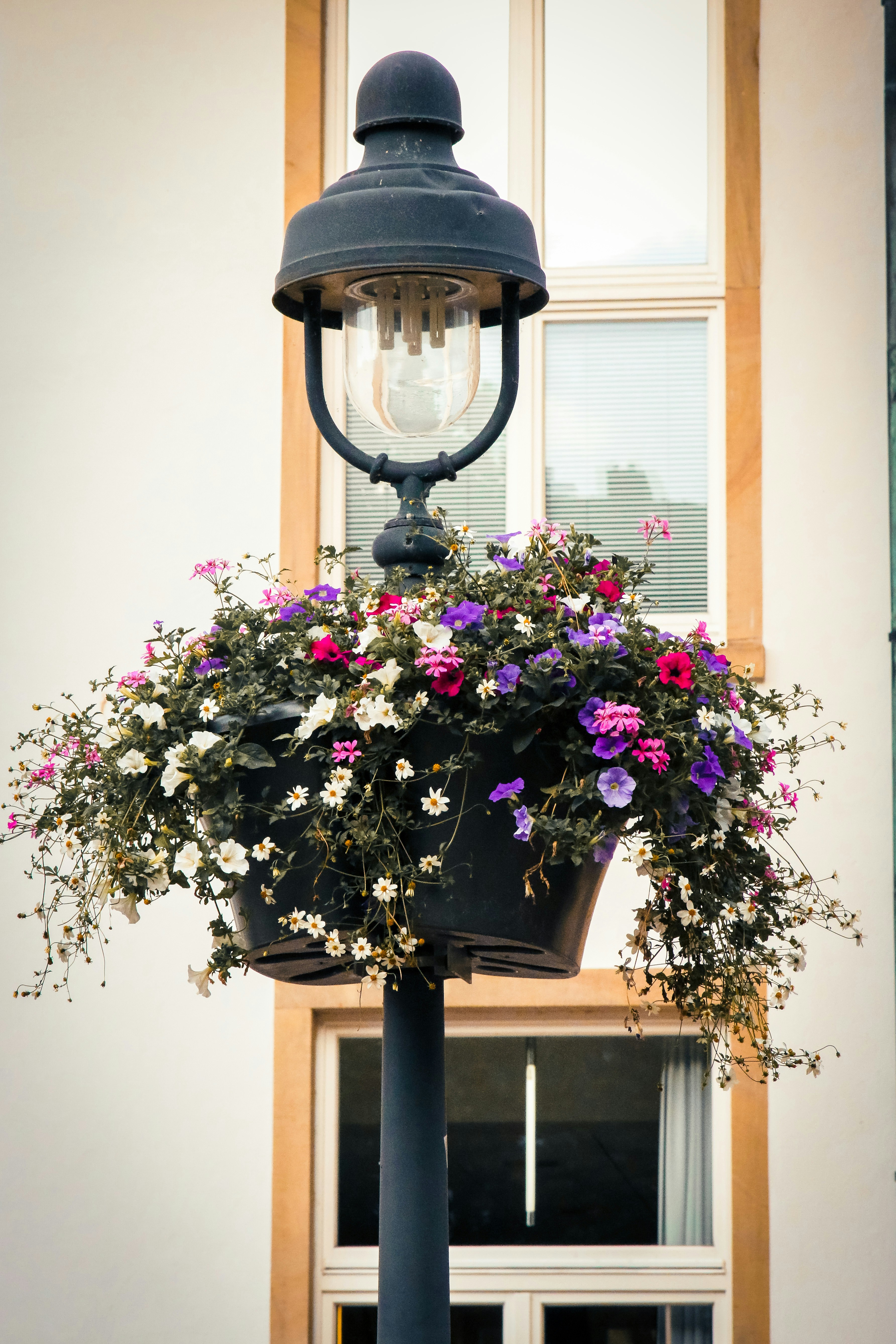 A lamp post with a flower box on top of it photo – Free Osnabrück Image ...